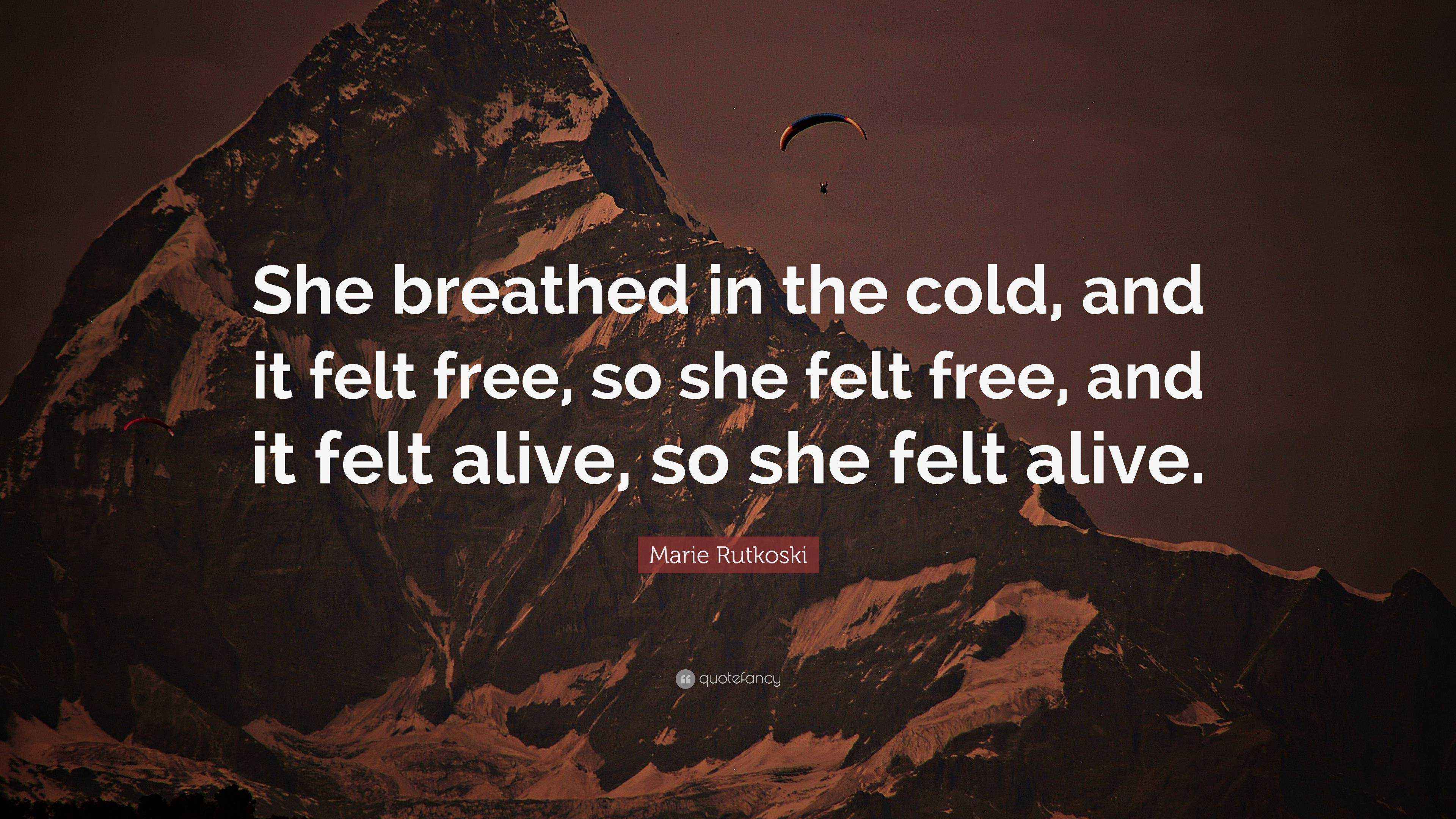 Marie Rutkoski Quote: “She breathed in the cold, and it felt free, so ...