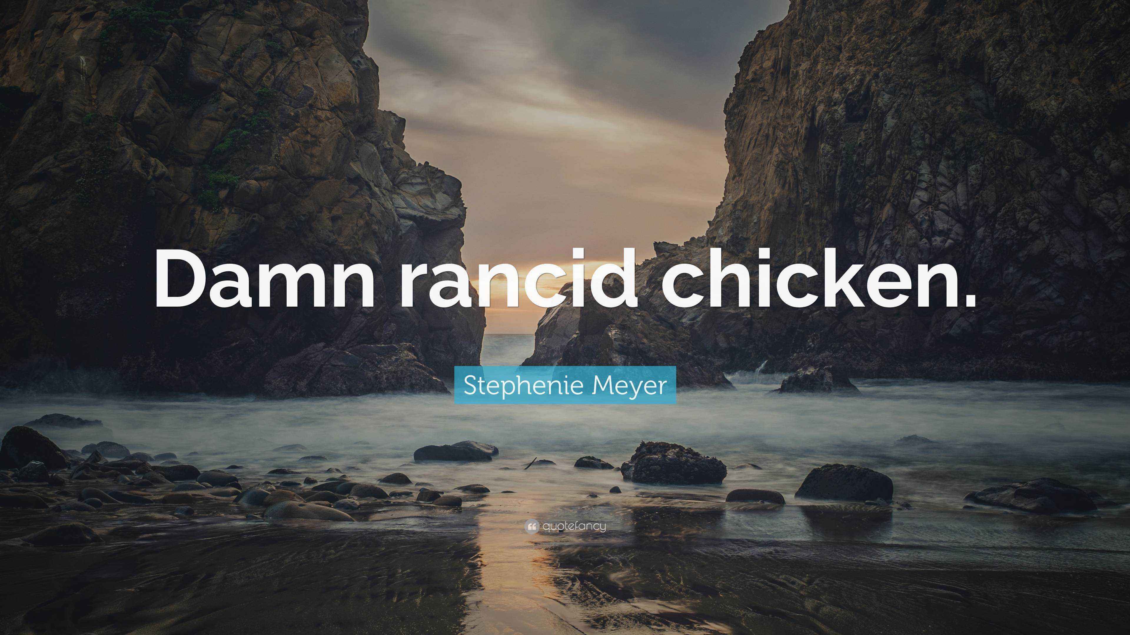 Stephenie Meyer Quote: “Damn rancid chicken.”