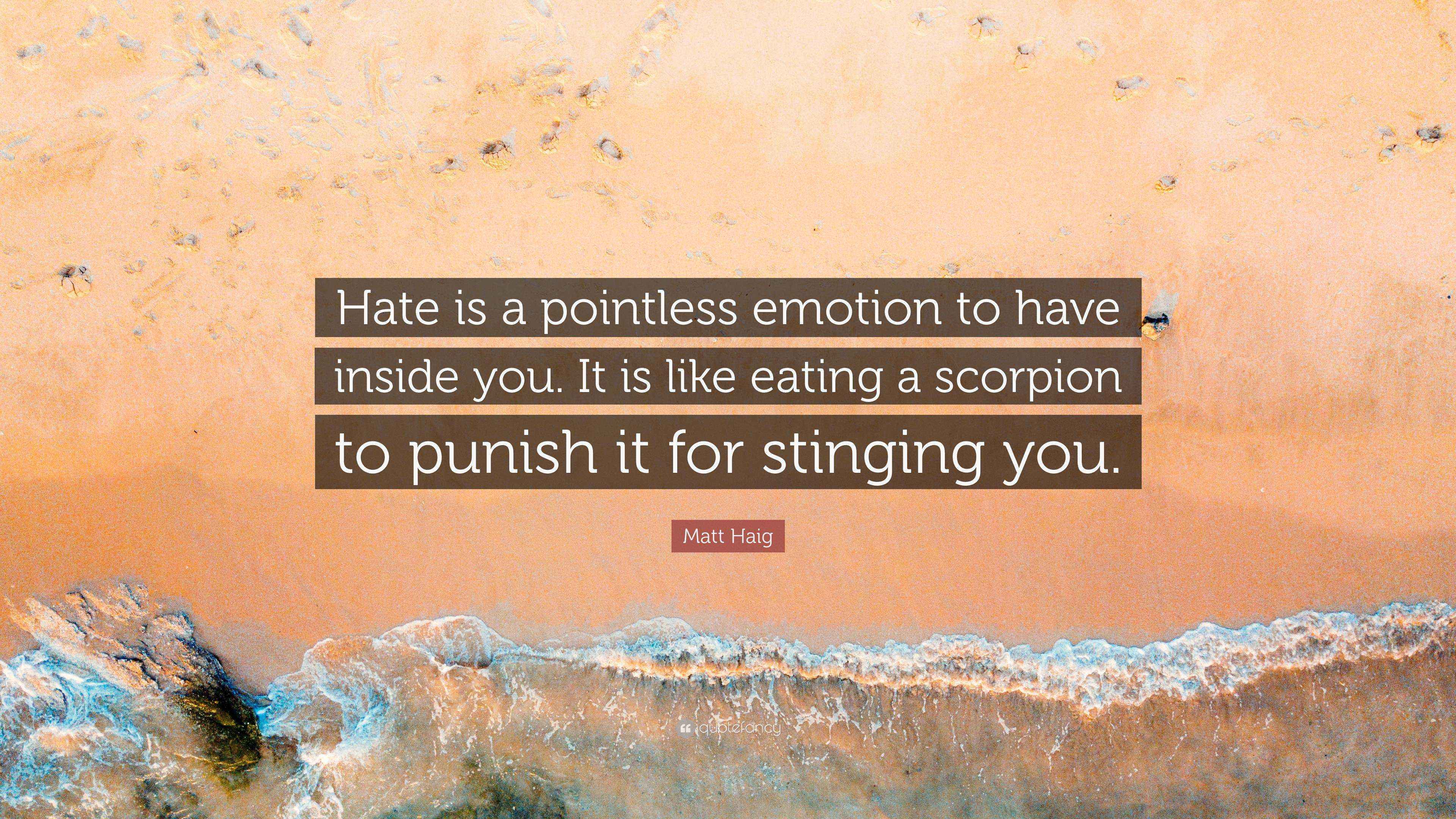 Matt Haig Quote: “Hate is a pointless emotion to have inside you. It is ...