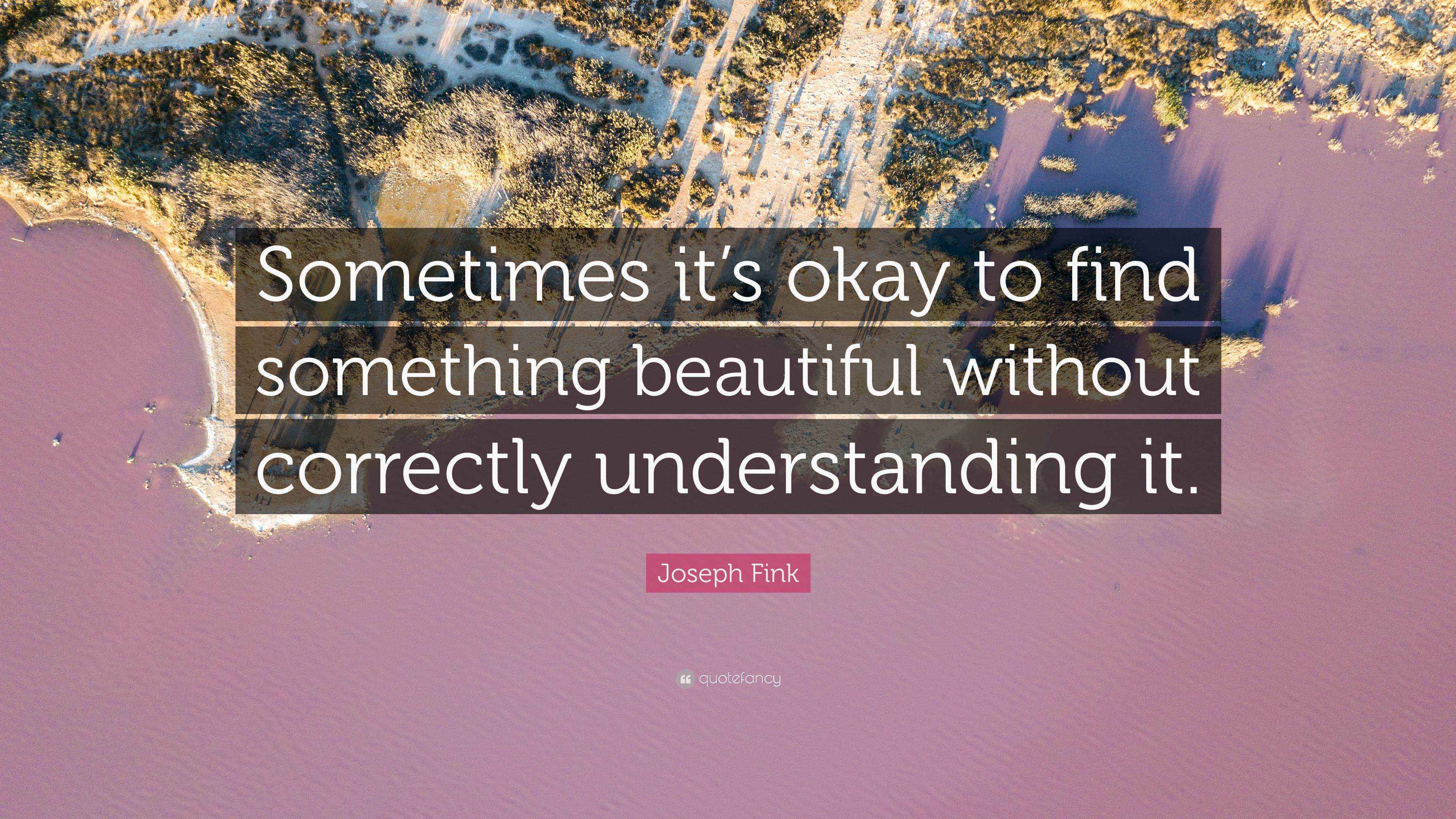 Joseph Fink Quote: “Sometimes it’s okay to find something beautiful ...
