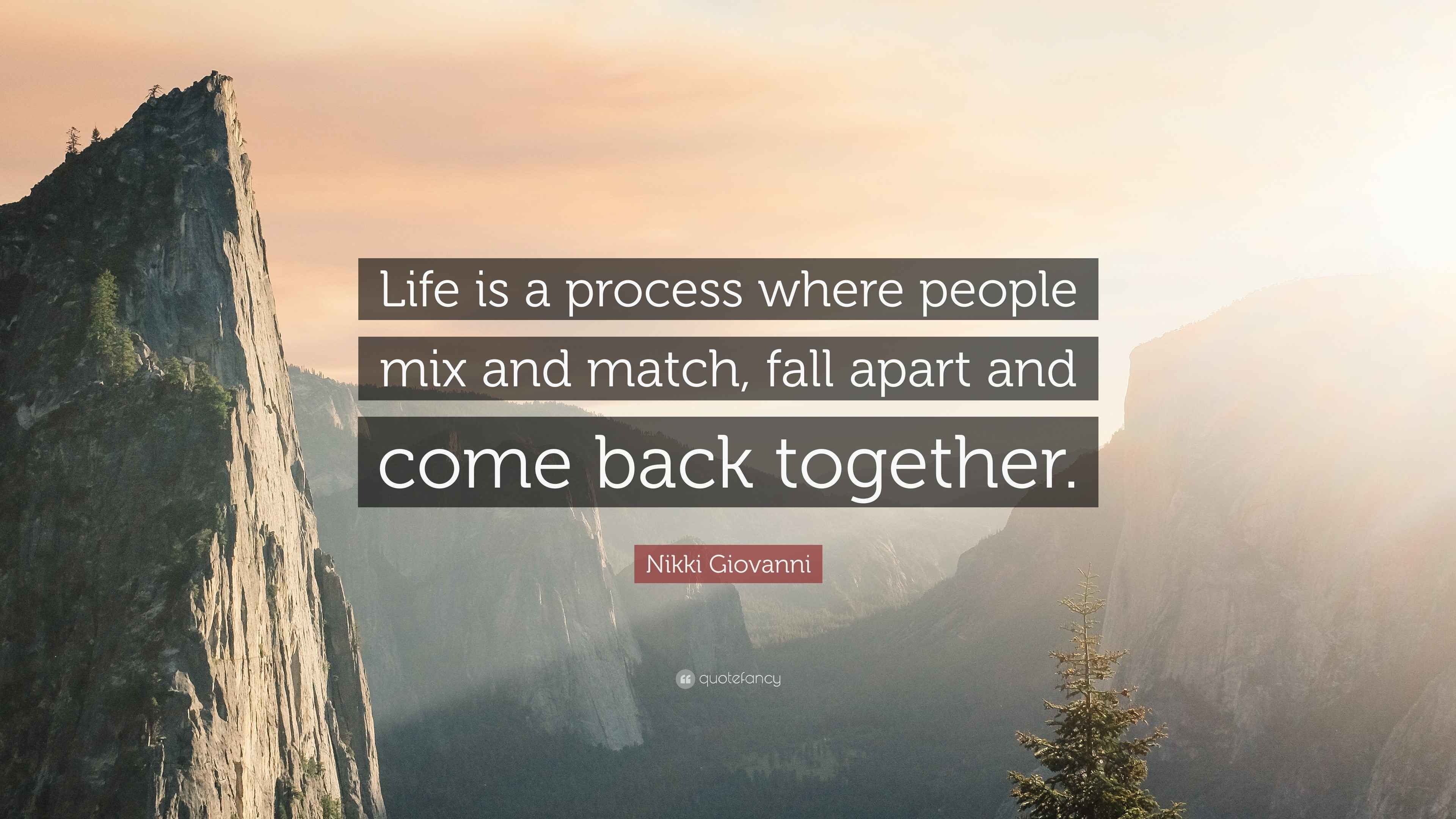 Nikki Giovanni Quote: “Life is a process where people mix and match ...