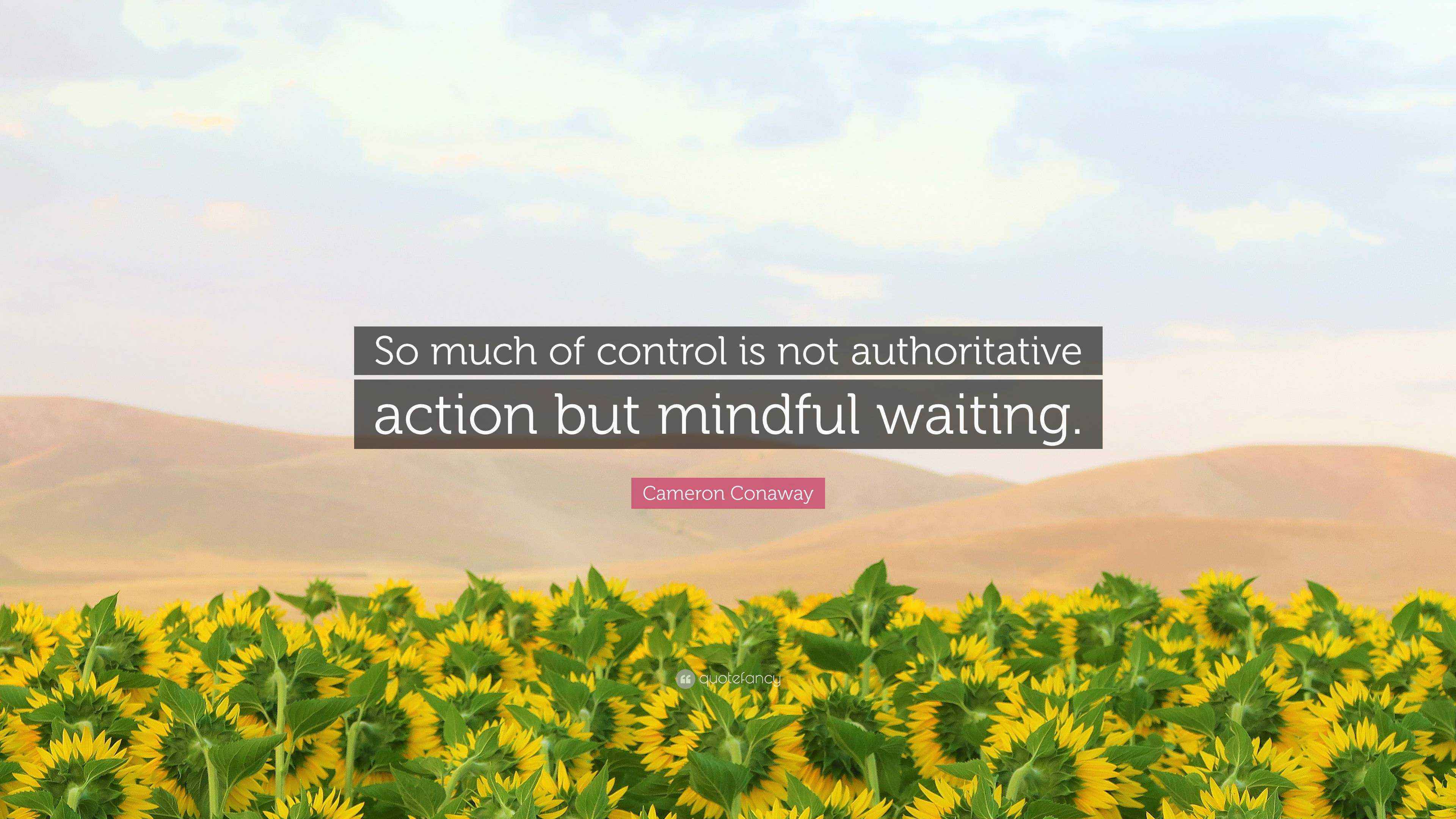 Cameron Conaway Quote: “So much of control is not authoritative action ...