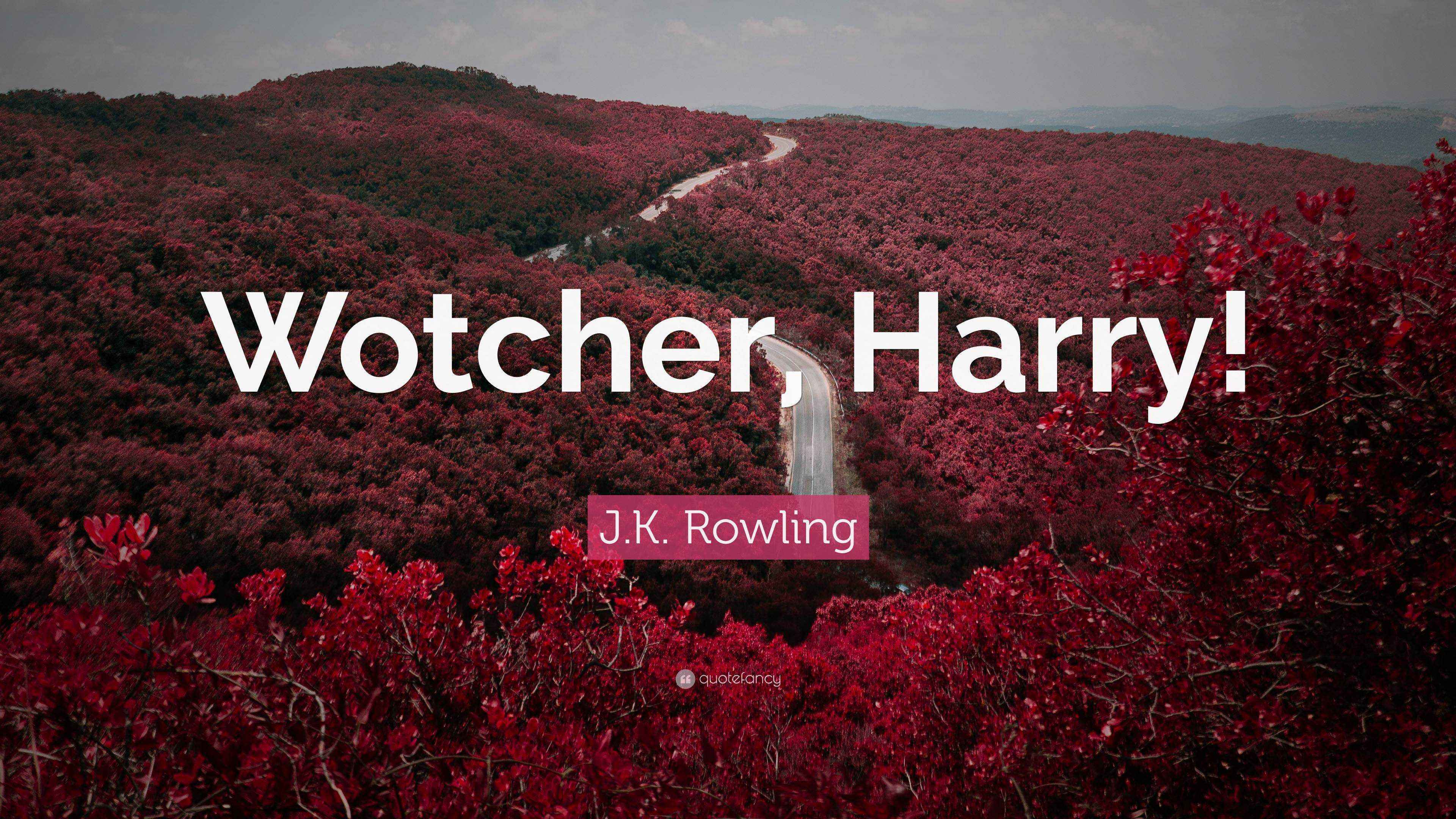 J.K. Rowling Quote: “Wotcher, Harry!”