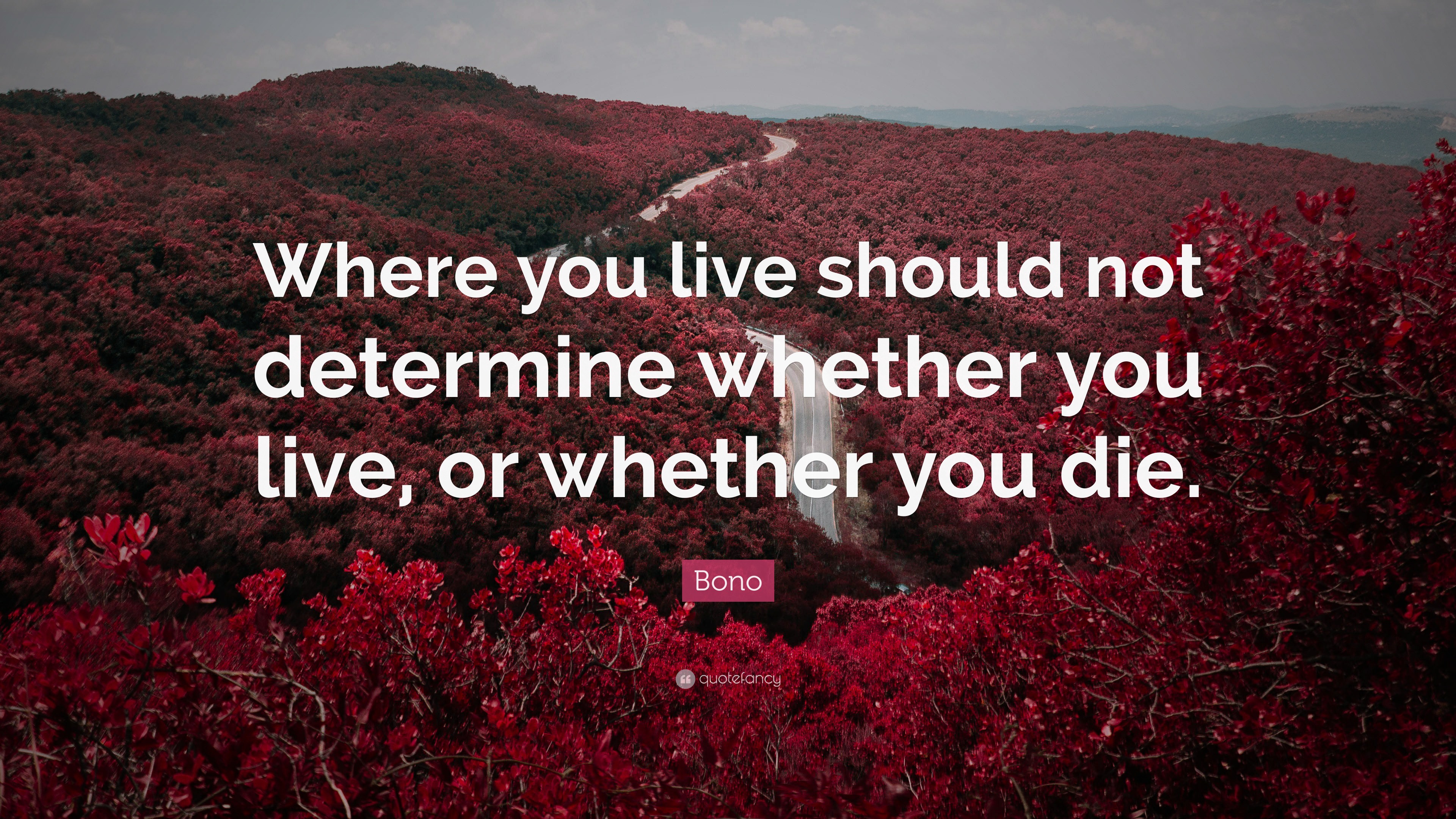 Bono Quote: “Where you live should not determine whether you live, or ...