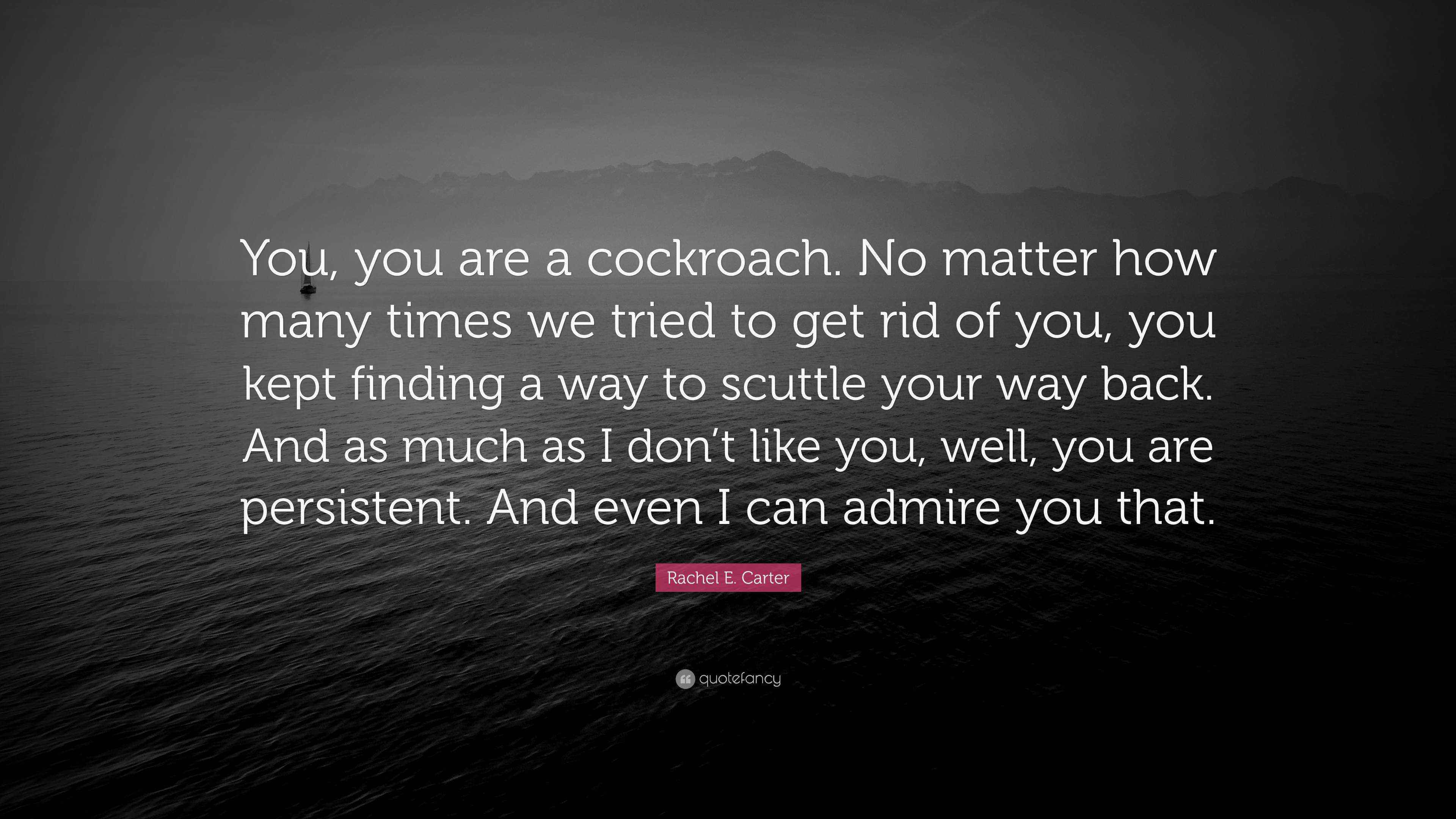 Rachel E. Carter Quote: “You, you are a cockroach. No matter how many ...