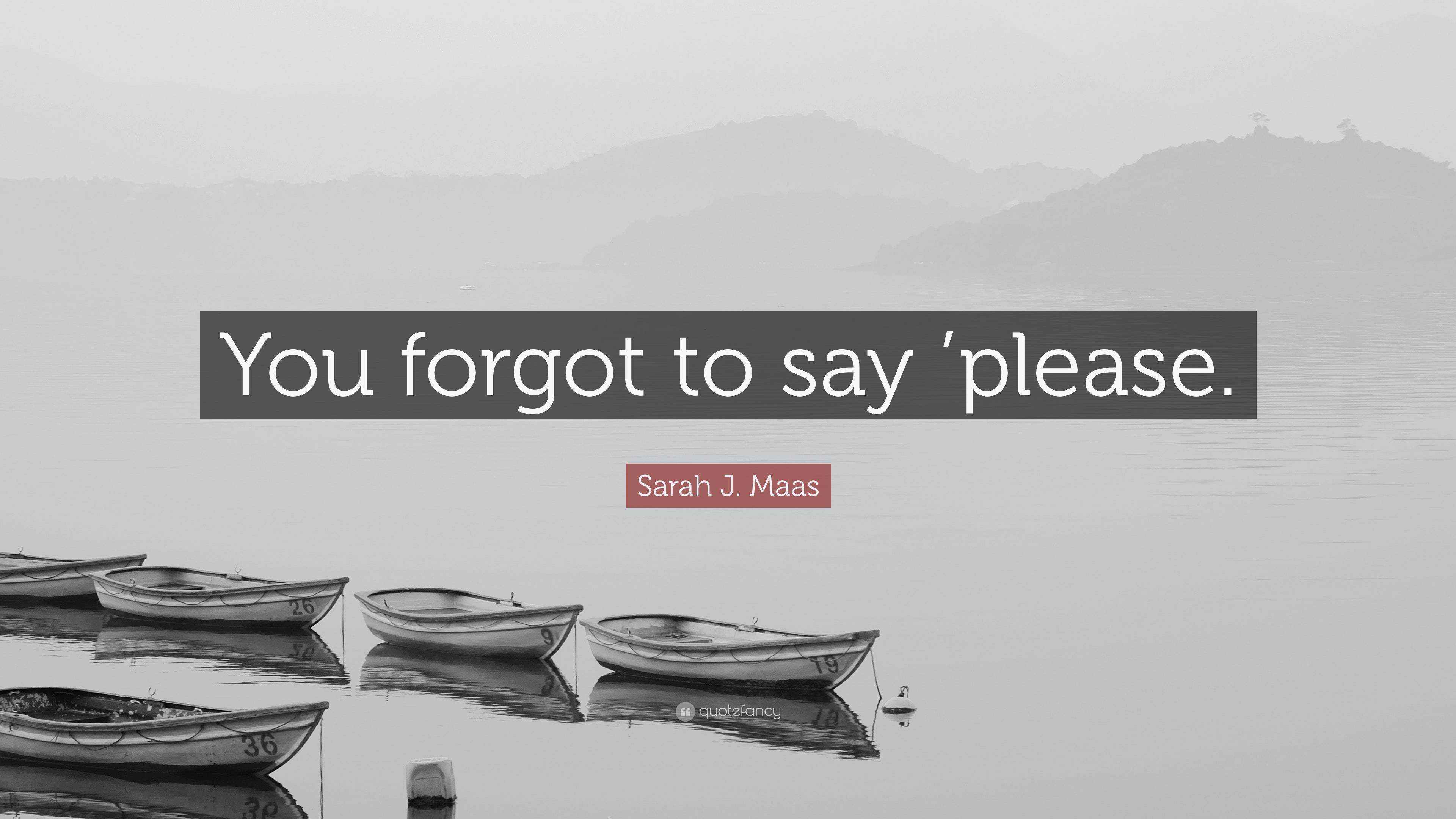 Sarah J. Maas Quote: “You forgot to say ’please.”