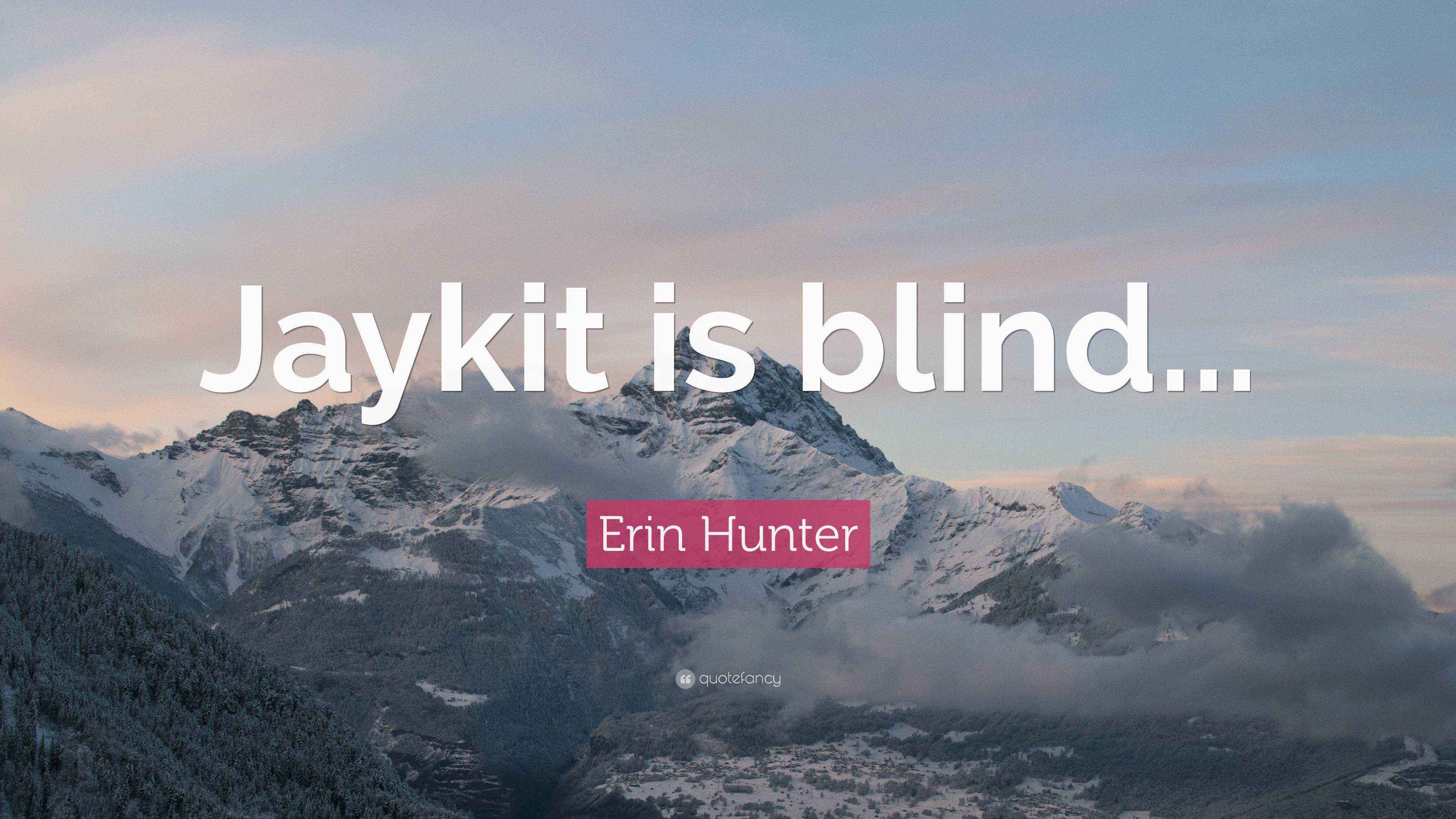 Erin Hunter Quote: “Jaykit is blind...”