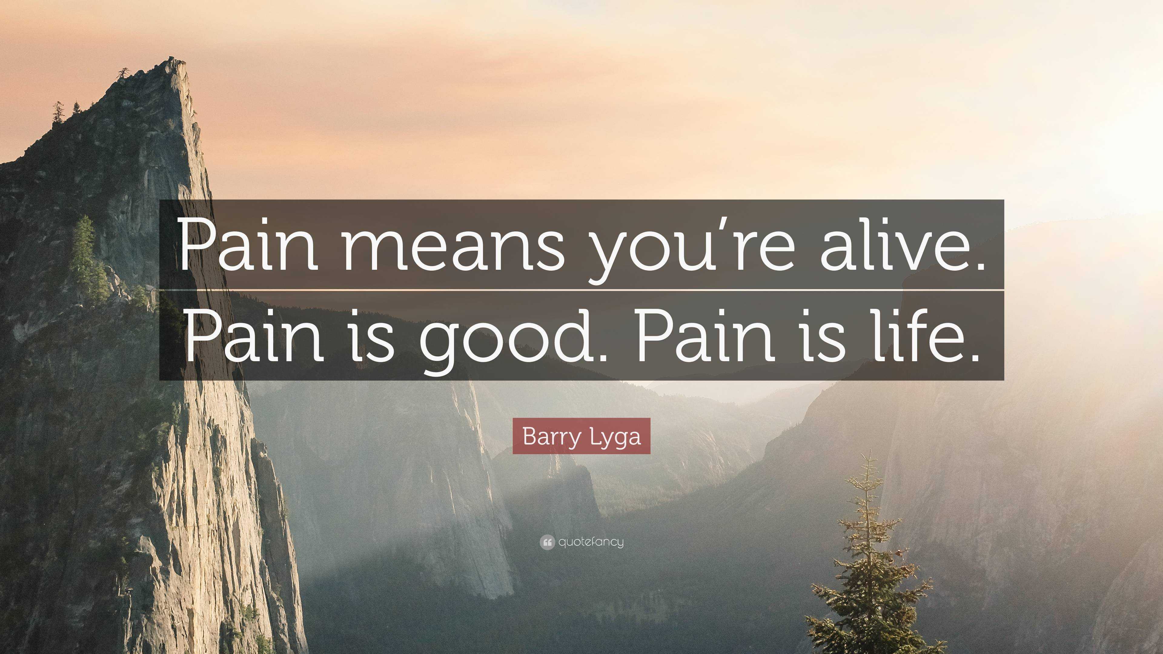 Barry Lyga Quote: “Pain means you’re alive. Pain is good. Pain is life.”