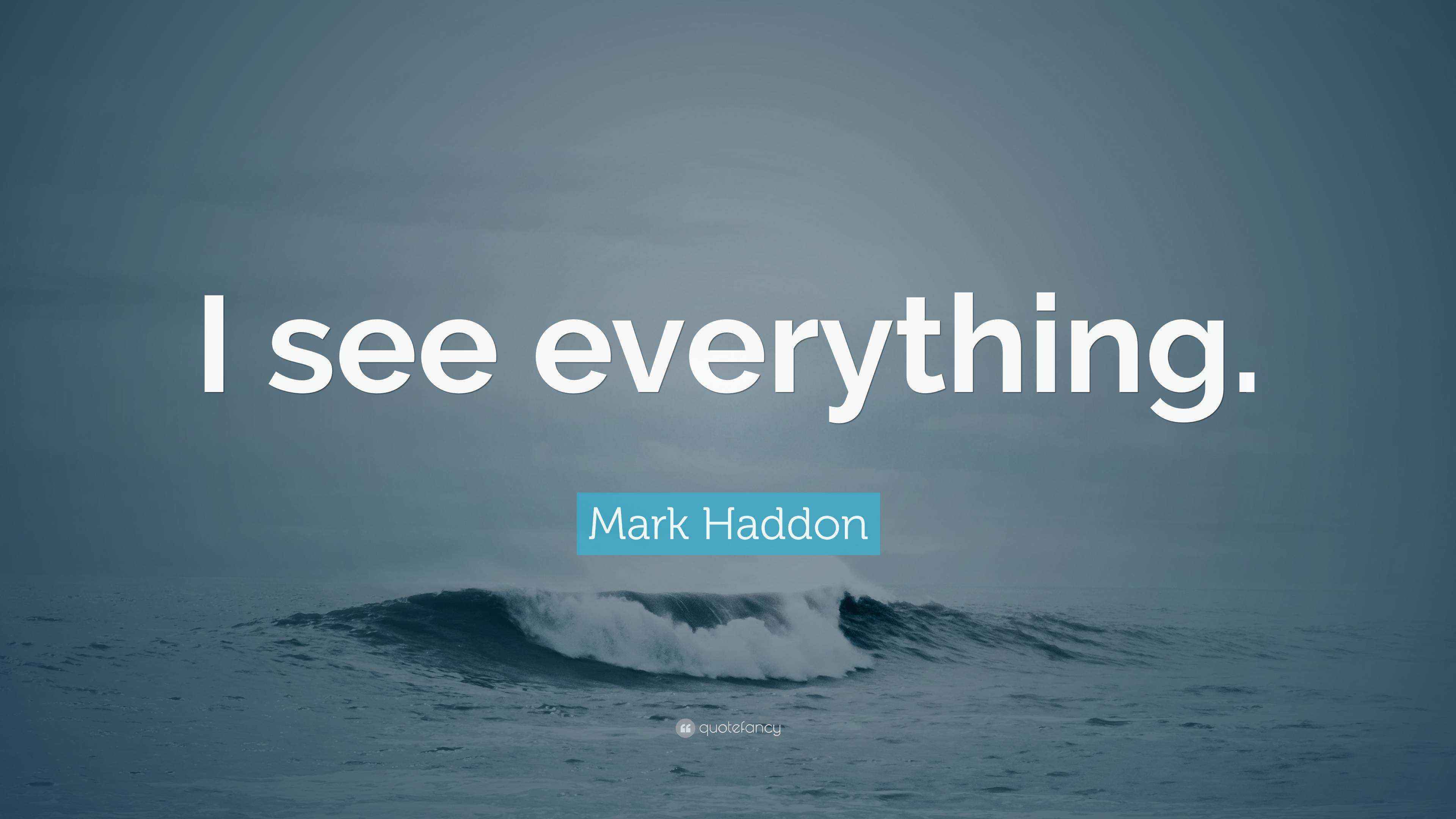 Mark Haddon Quote: “I see everything.”