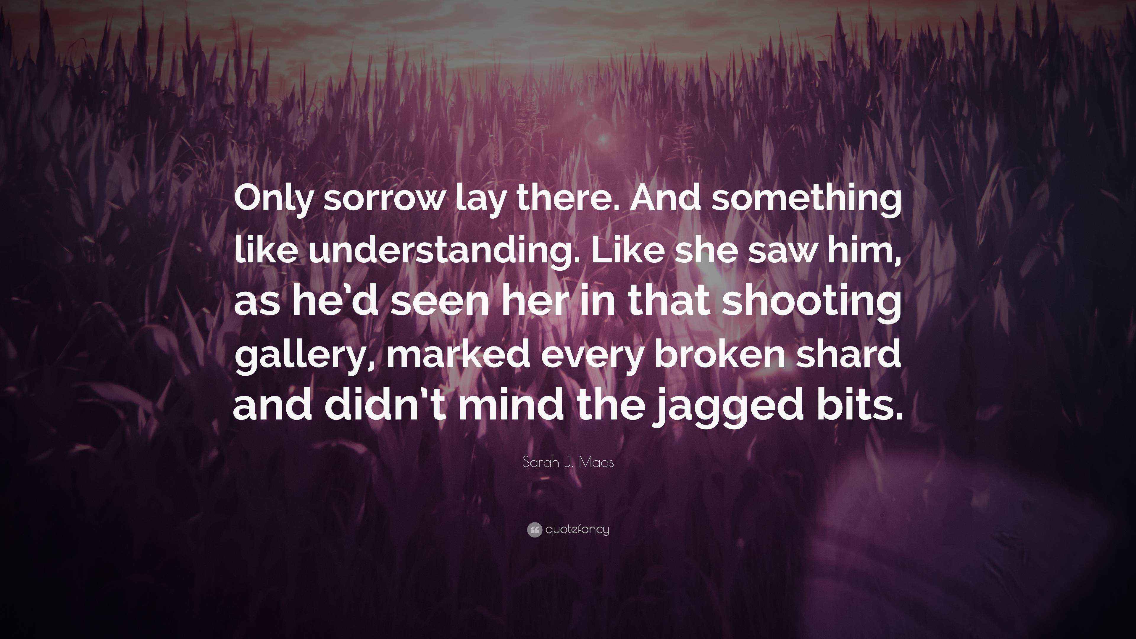 Sarah J. Maas Quote: “Only sorrow lay there. And something like ...