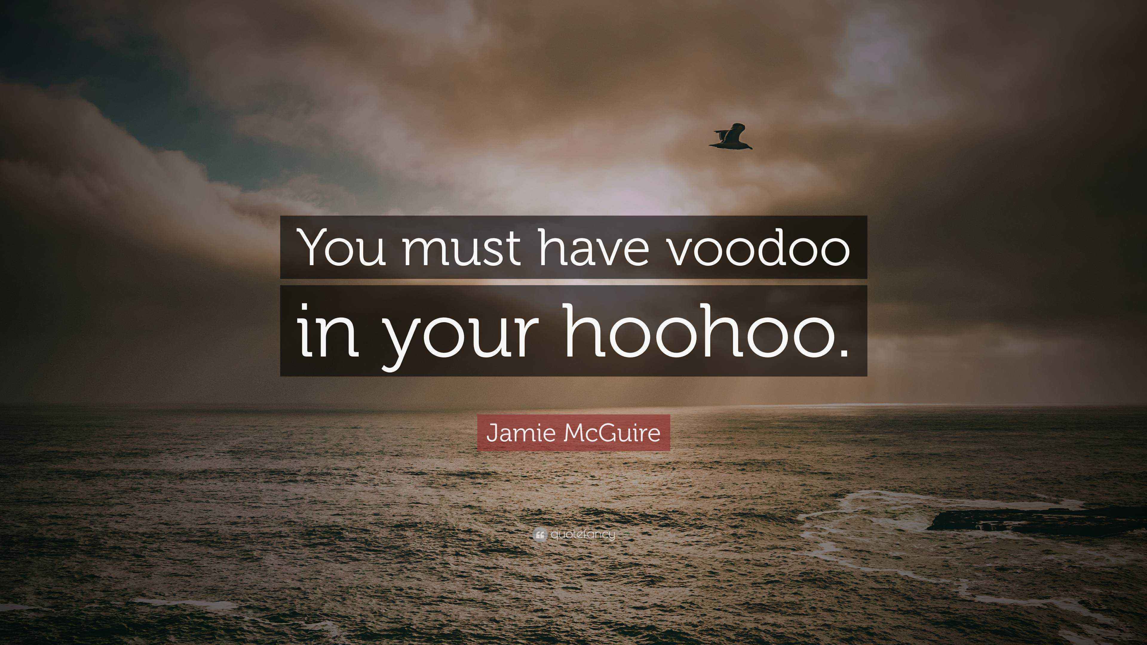 Jamie McGuire Quote: “You must have voodoo in your hoohoo.”