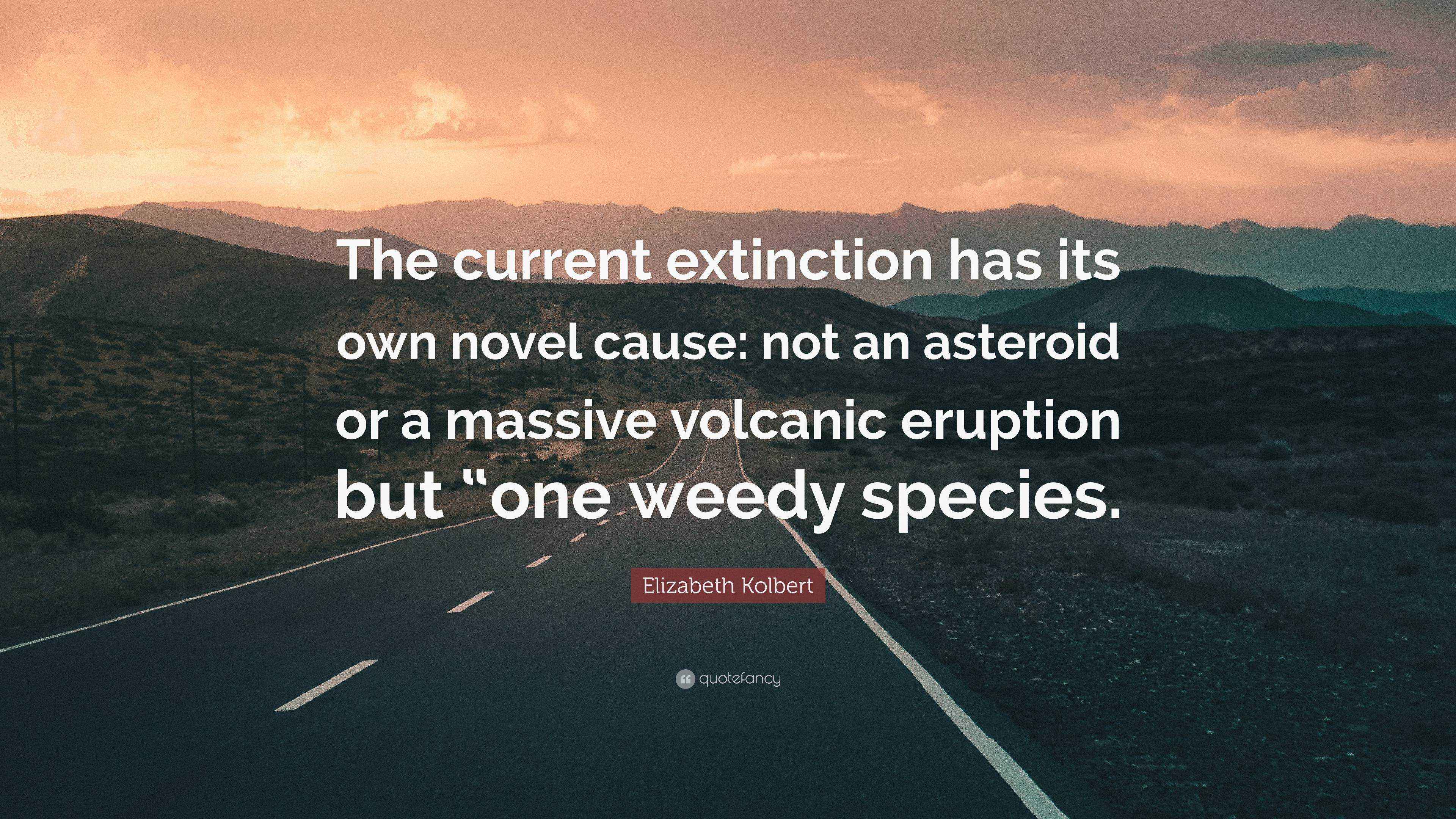 Elizabeth Kolbert Quote: “The current extinction has its own novel ...