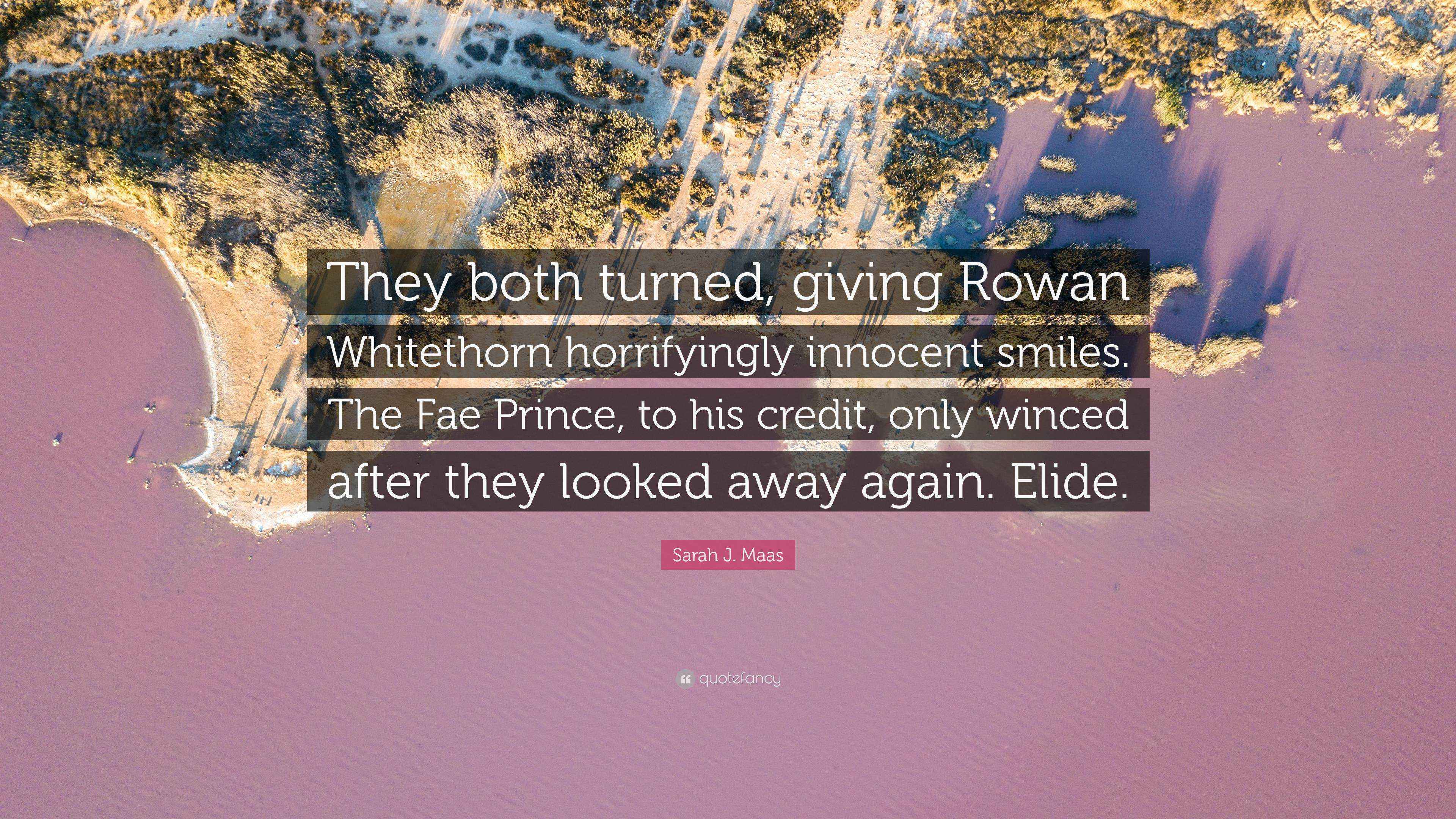 Sarah J. Maas Quote: “They both turned, giving Rowan Whitethorn ...