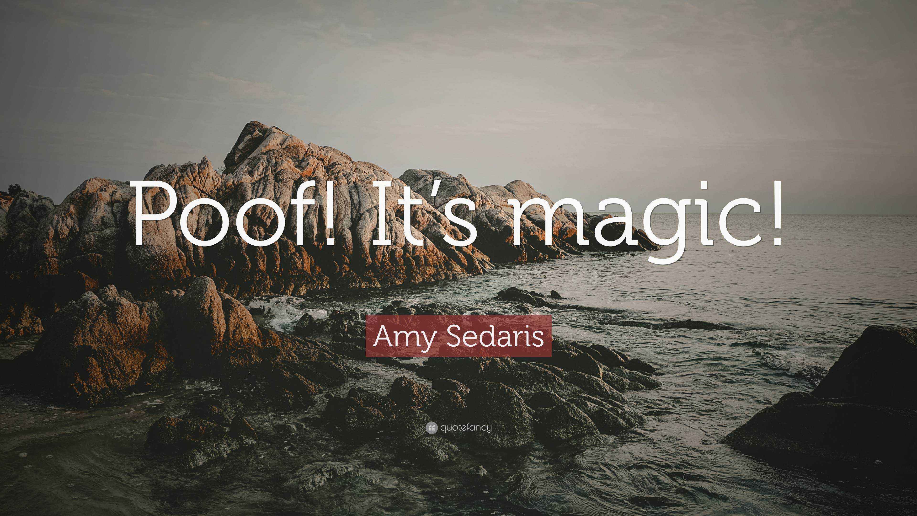 Amy Sedaris Quote: “Poof! It’s magic!”