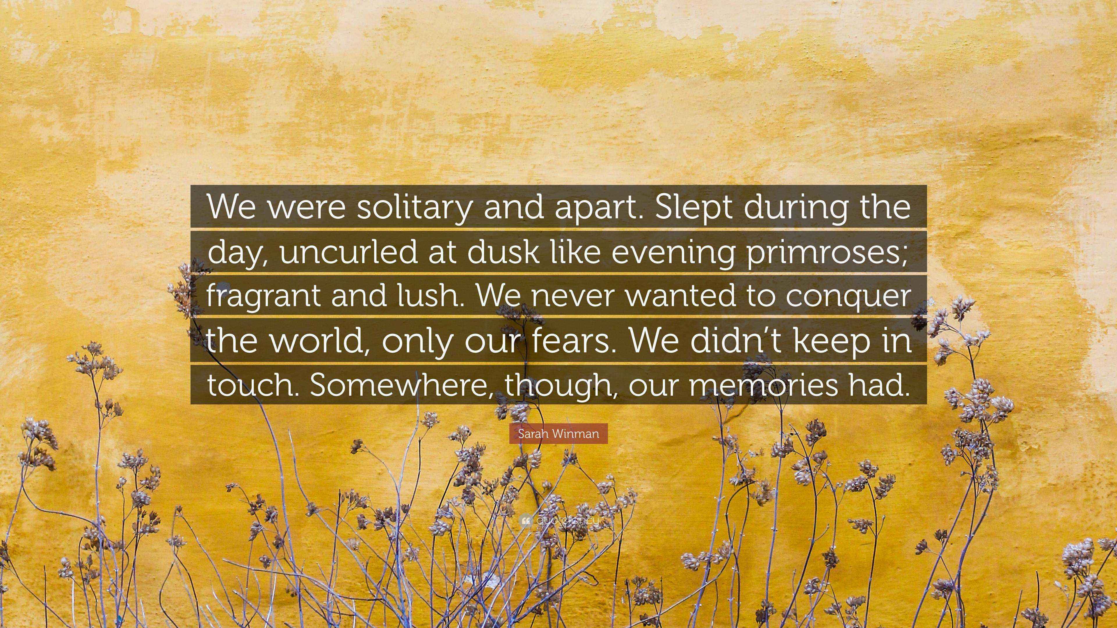 Sarah Winman Quote: “We were solitary and apart. Slept during the day ...