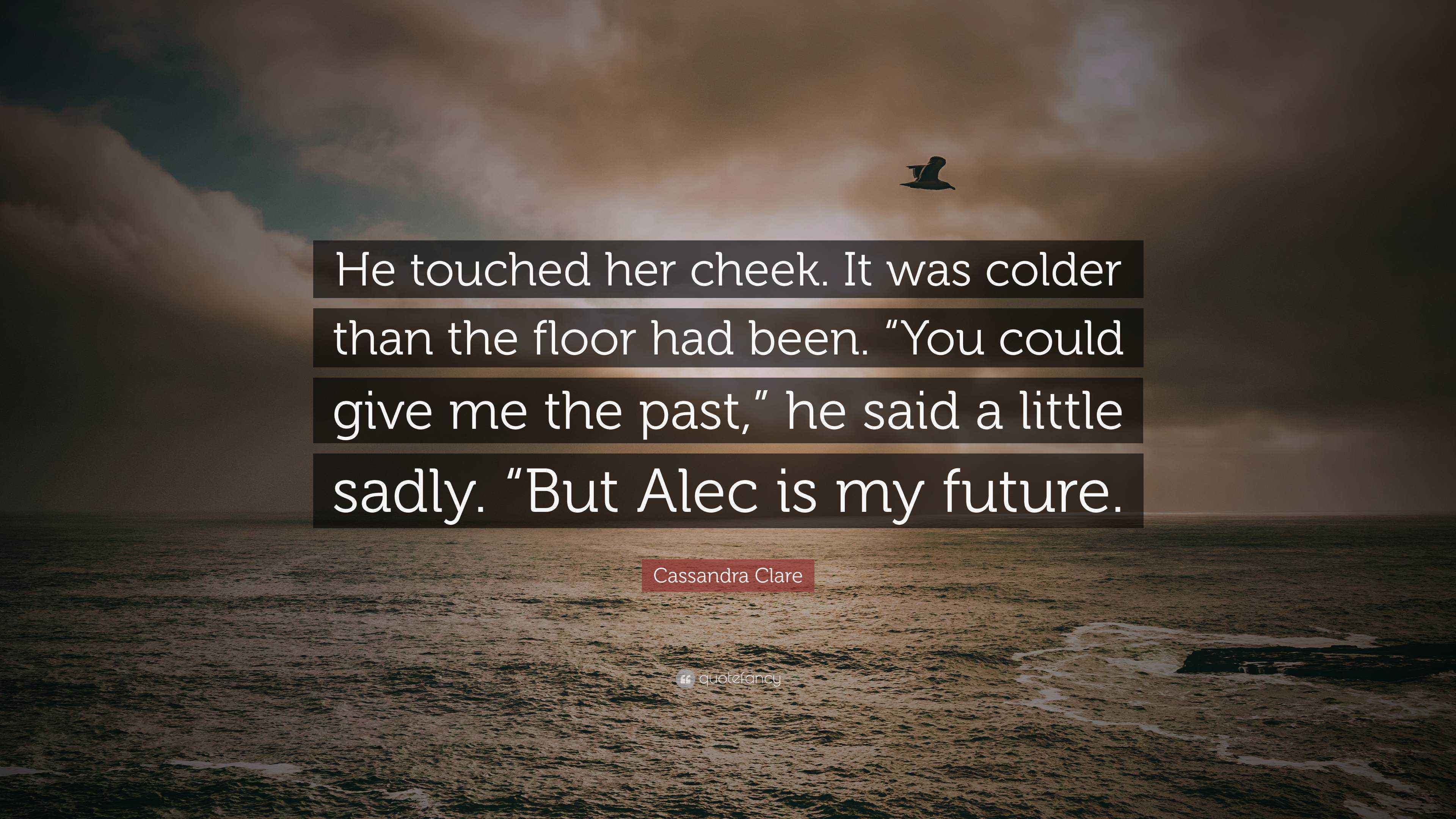 Cassandra Clare Quote: “He touched her cheek. It was colder than the ...