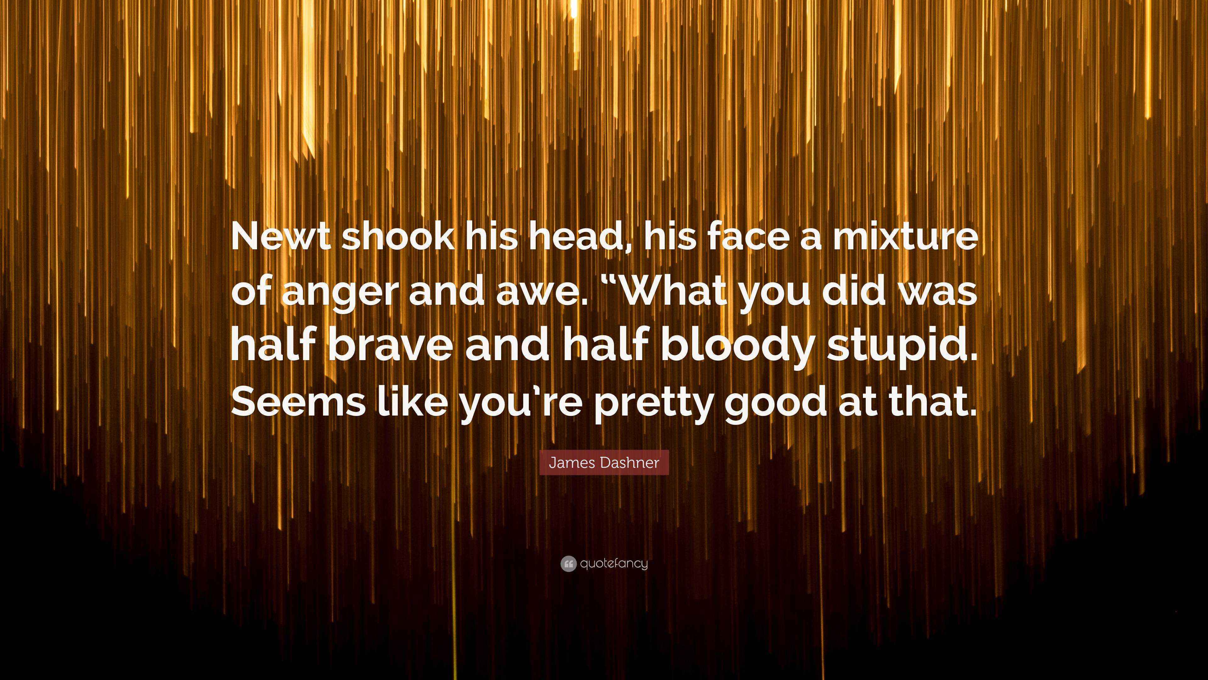 James Dashner Quote: “Newt shook his head, his face a mixture of anger ...