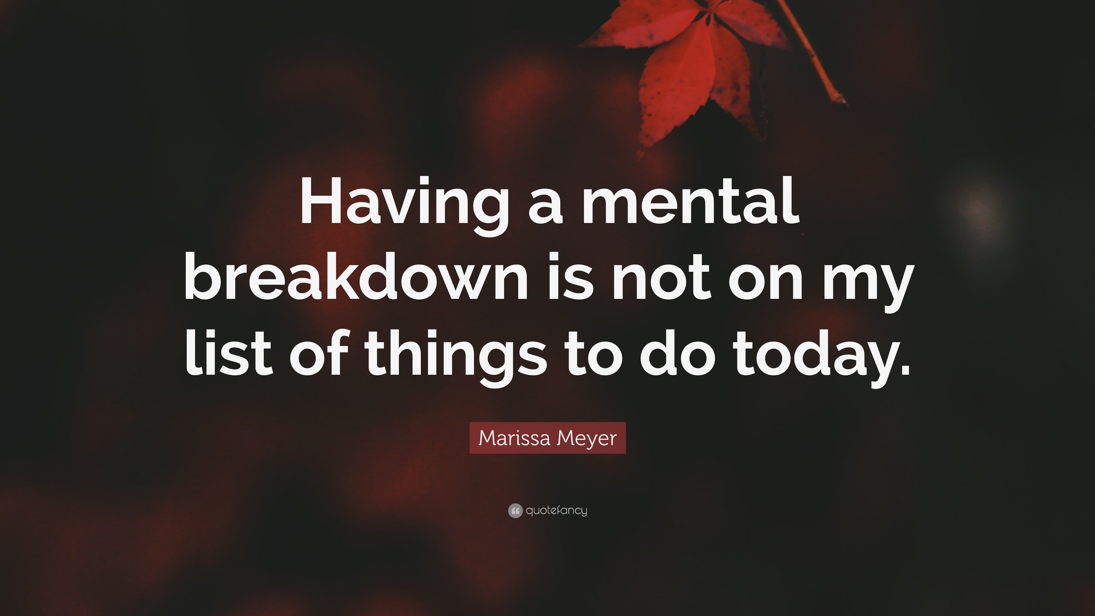 Marissa Meyer Quote: “Having a mental breakdown is not on my list of ...