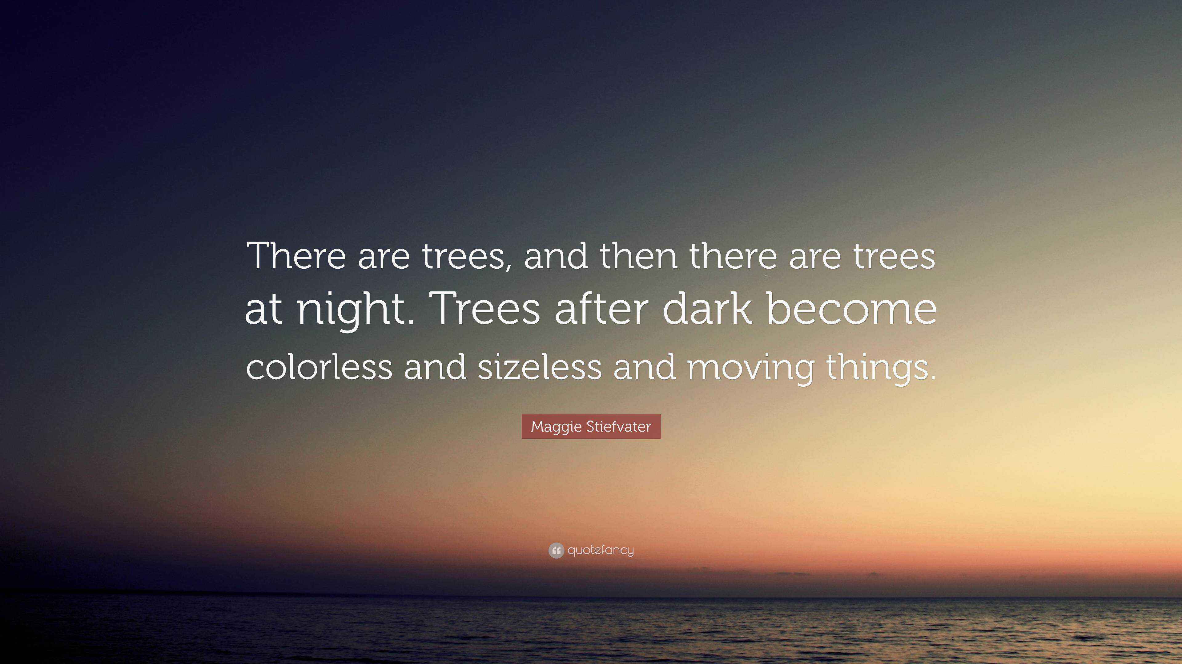 Maggie Stiefvater Quote: “There are trees, and then there are trees at ...