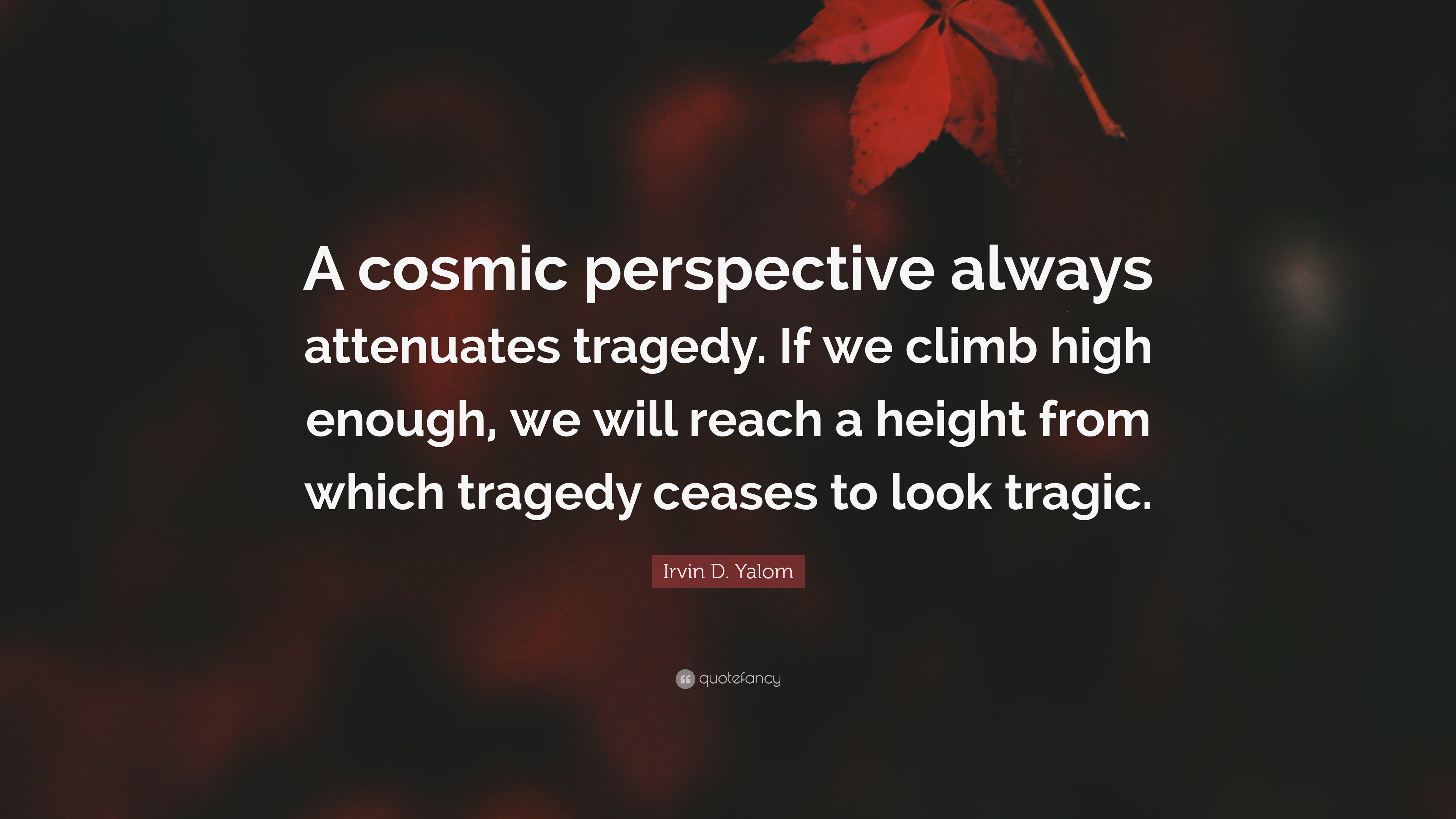 Irvin D. Yalom Quote: “A cosmic perspective always attenuates tragedy ...