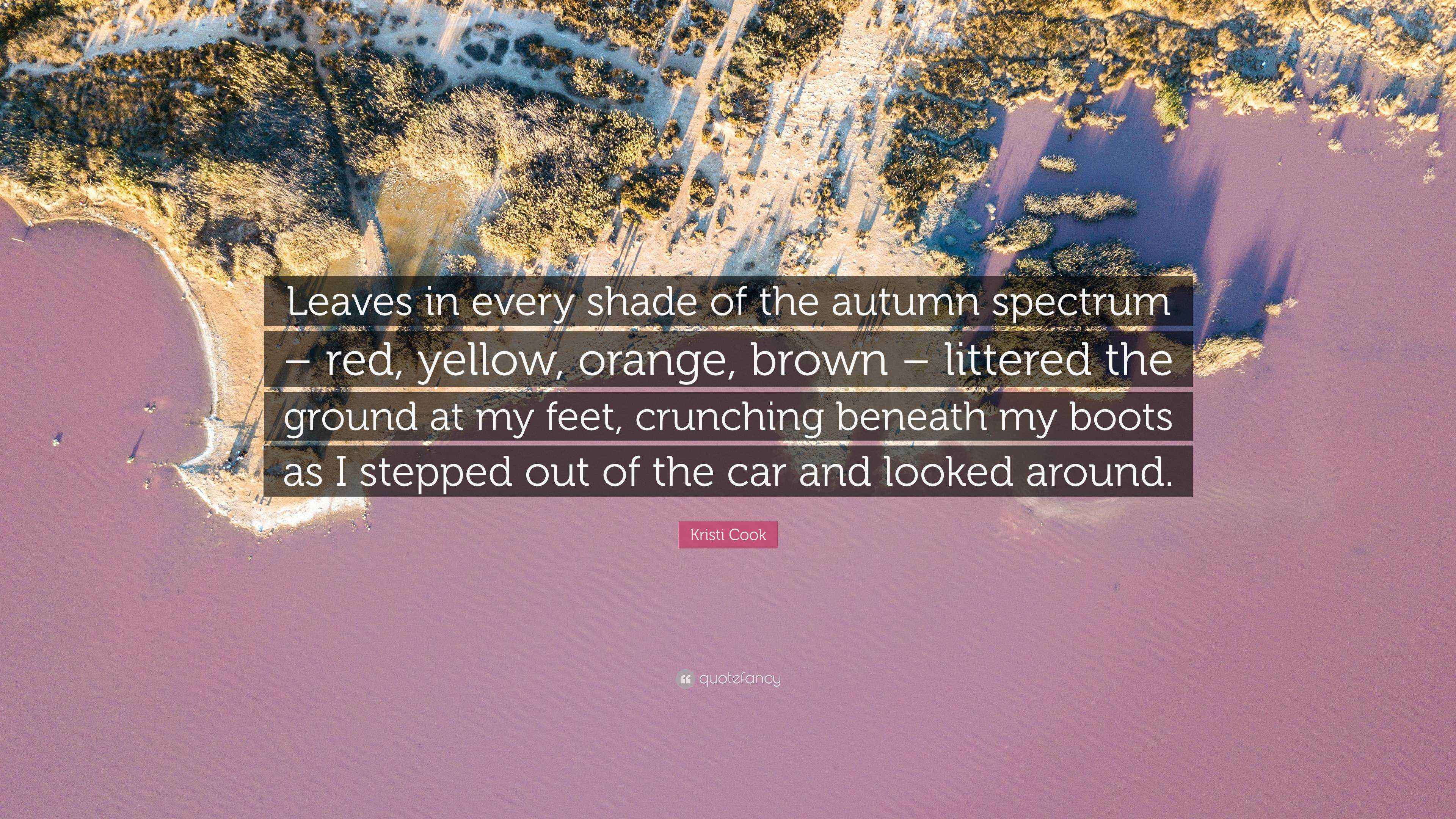Kristi Cook Quote: “Leaves in every shade of the autumn spectrum – red ...