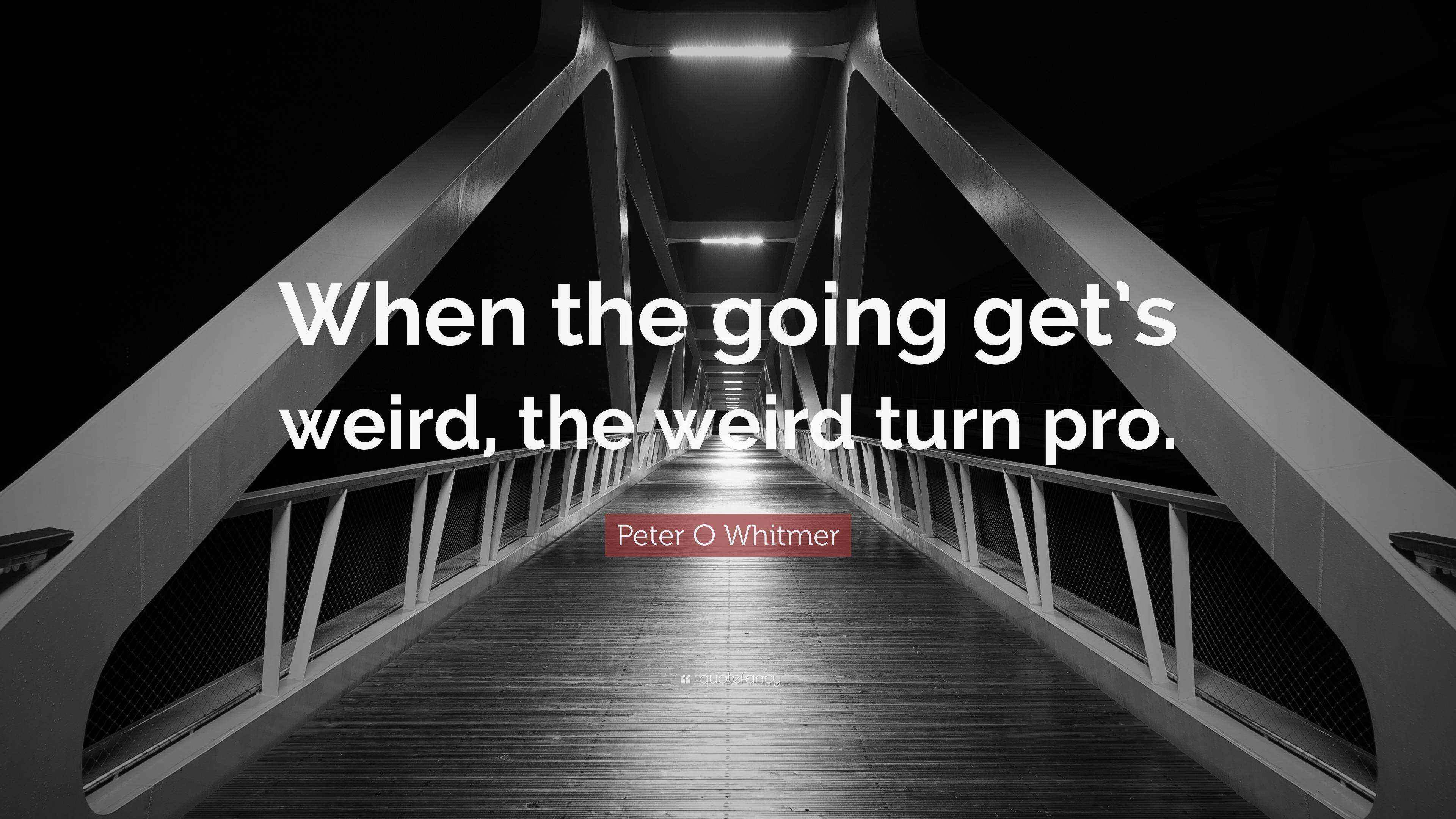 Peter O Whitmer Quote: “When the going get’s weird, the weird turn pro.”
