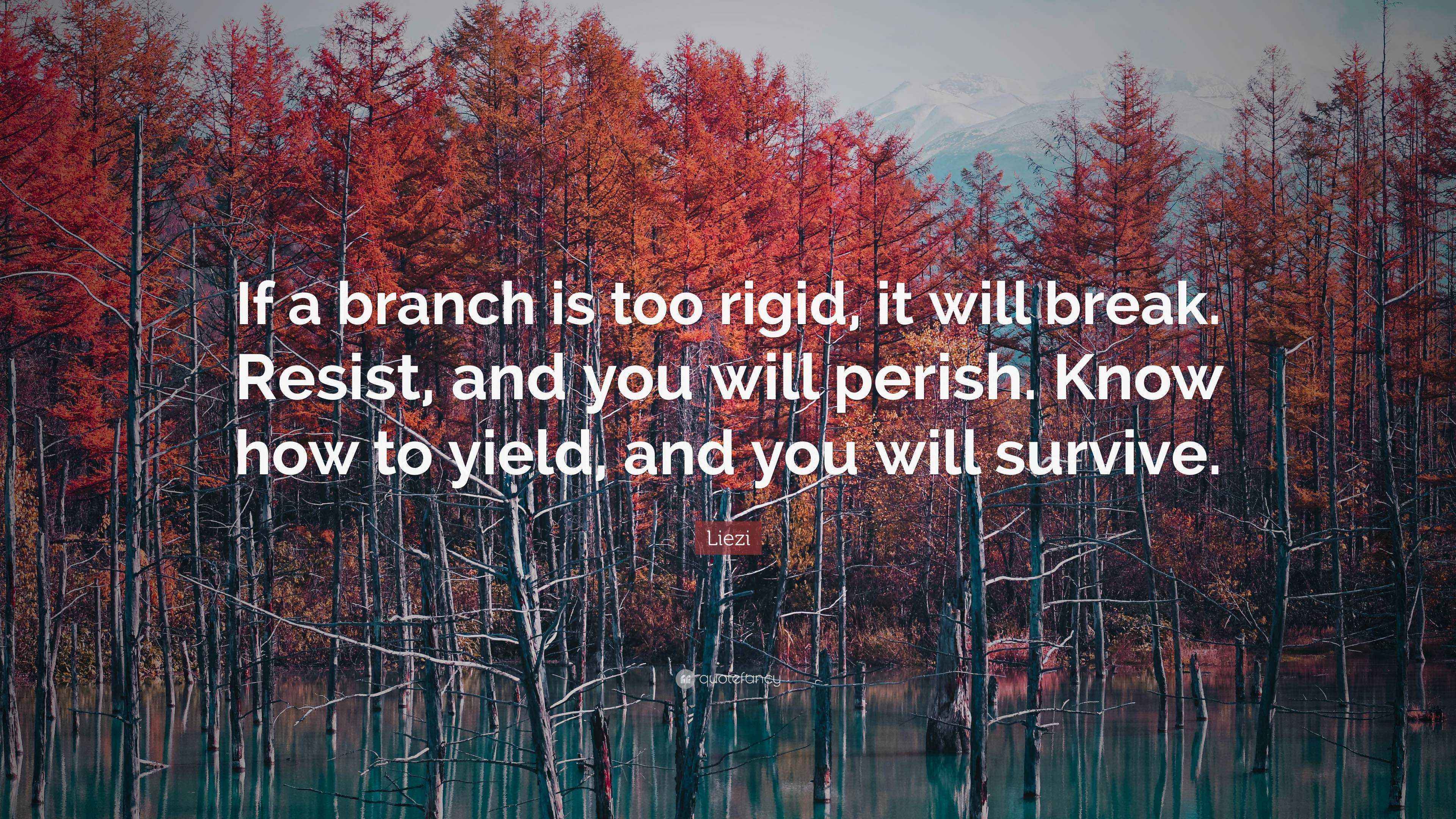 Liezi Quote: “If a branch is too rigid, it will break. Resist, and you ...