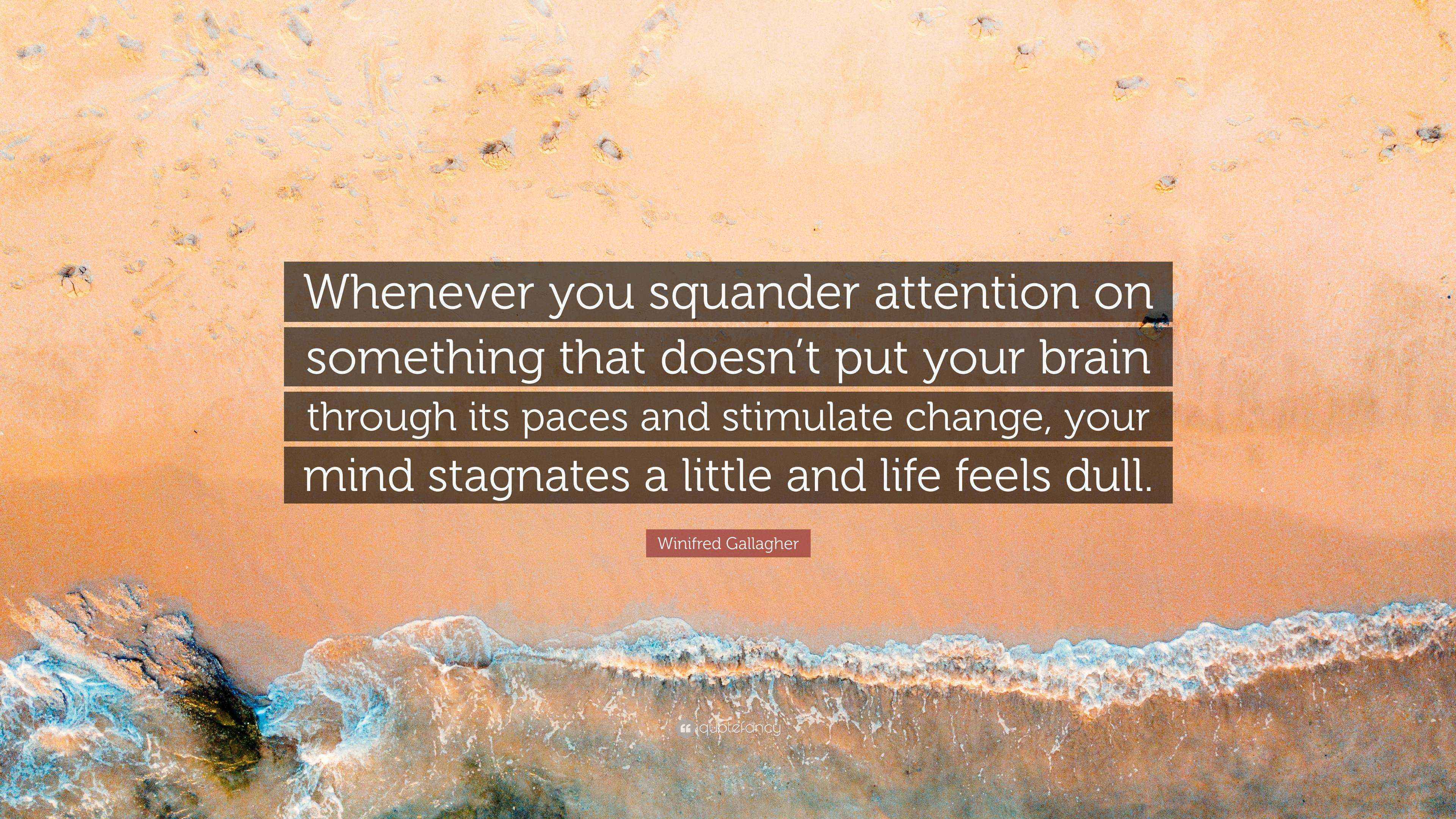 Winifred Gallagher Quote: “Whenever you squander attention on something ...