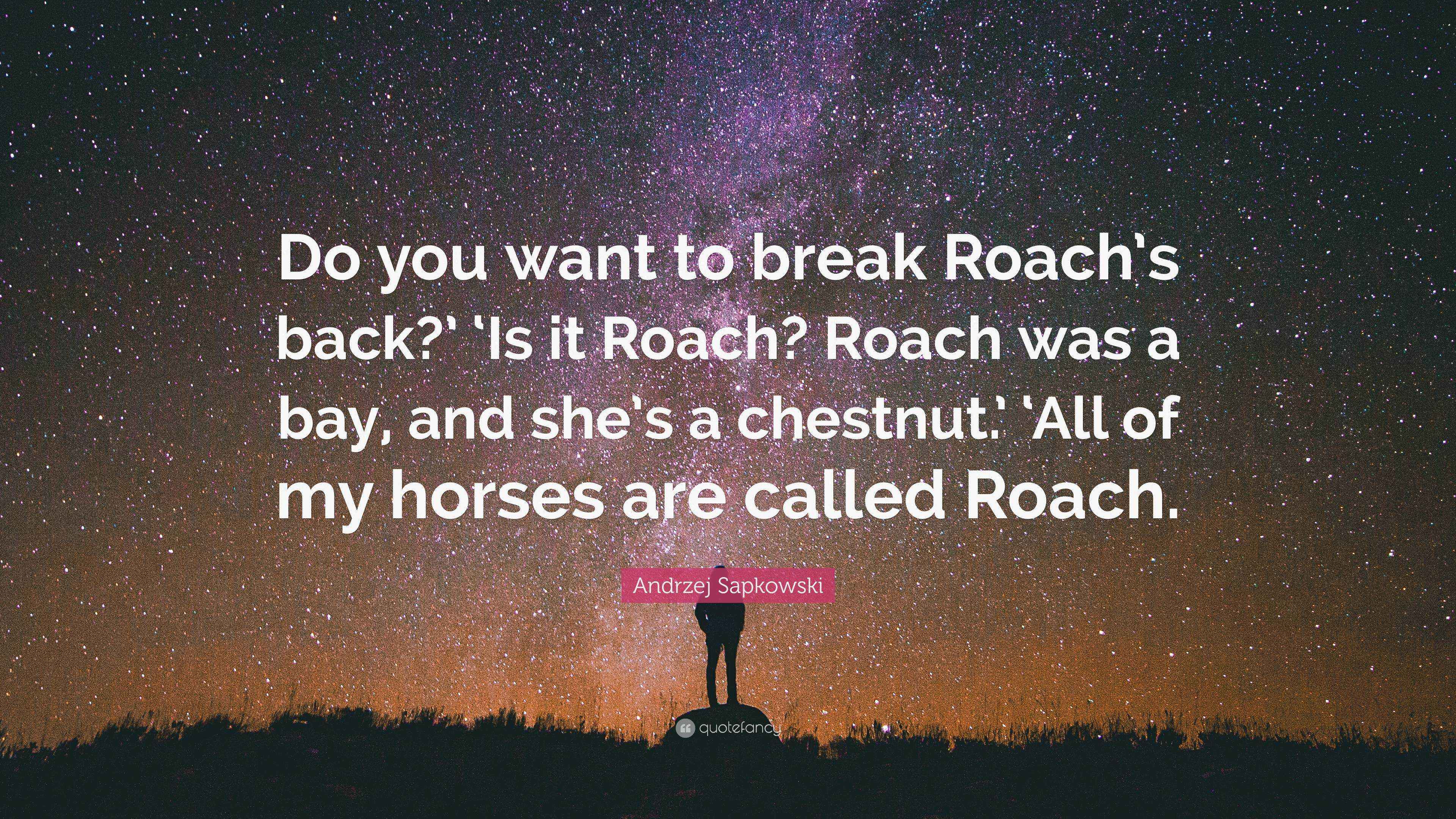 Andrzej Sapkowski Quote: “Do you want to break Roach’s back?’ ‘Is it ...