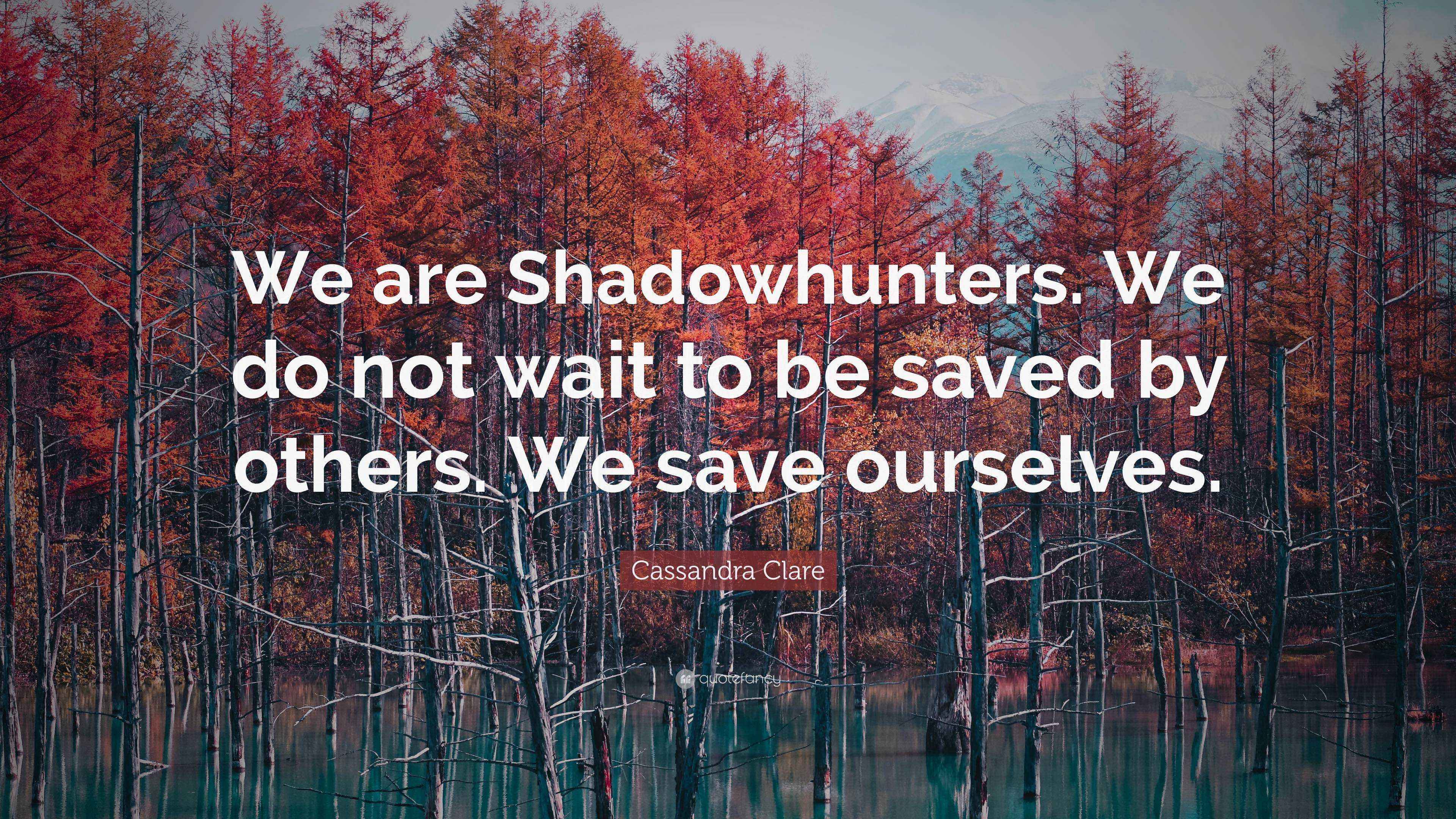 Shadowhunters Quotes