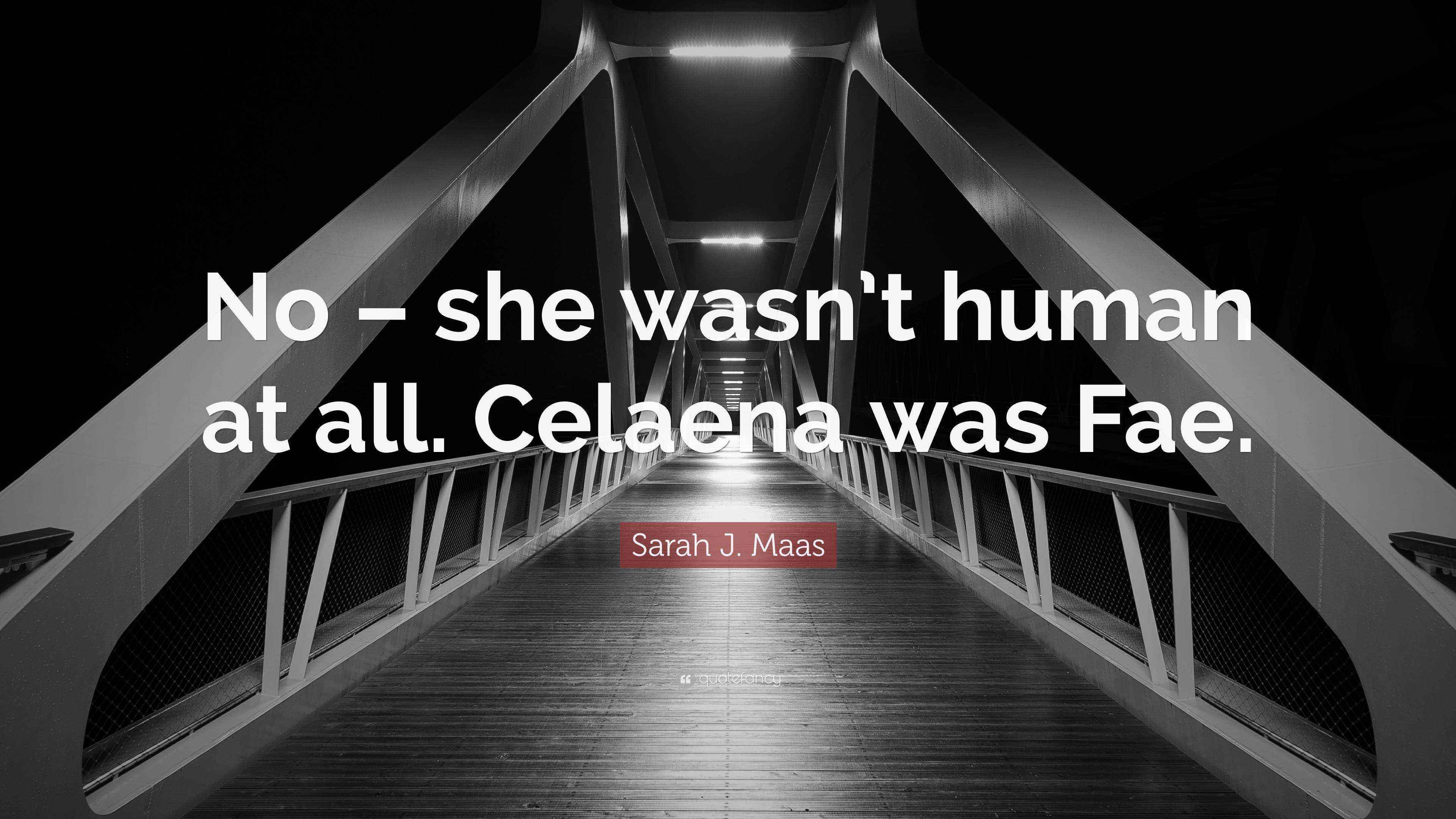 Sarah J. Maas Quote: “No – she wasn’t human at all. Celaena was Fae.”