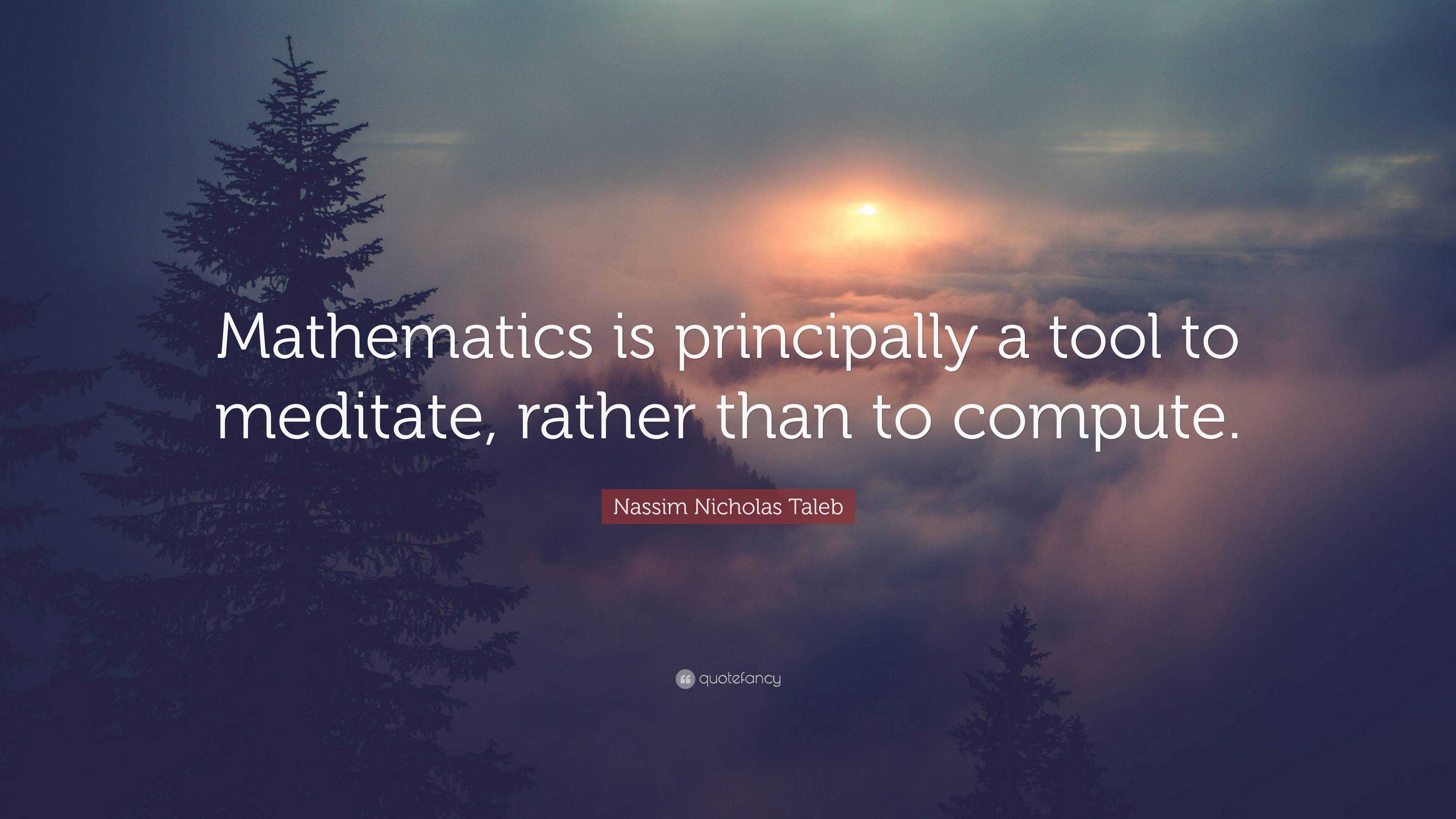 Nassim Nicholas Taleb Quote: “Mathematics is principally a tool to ...