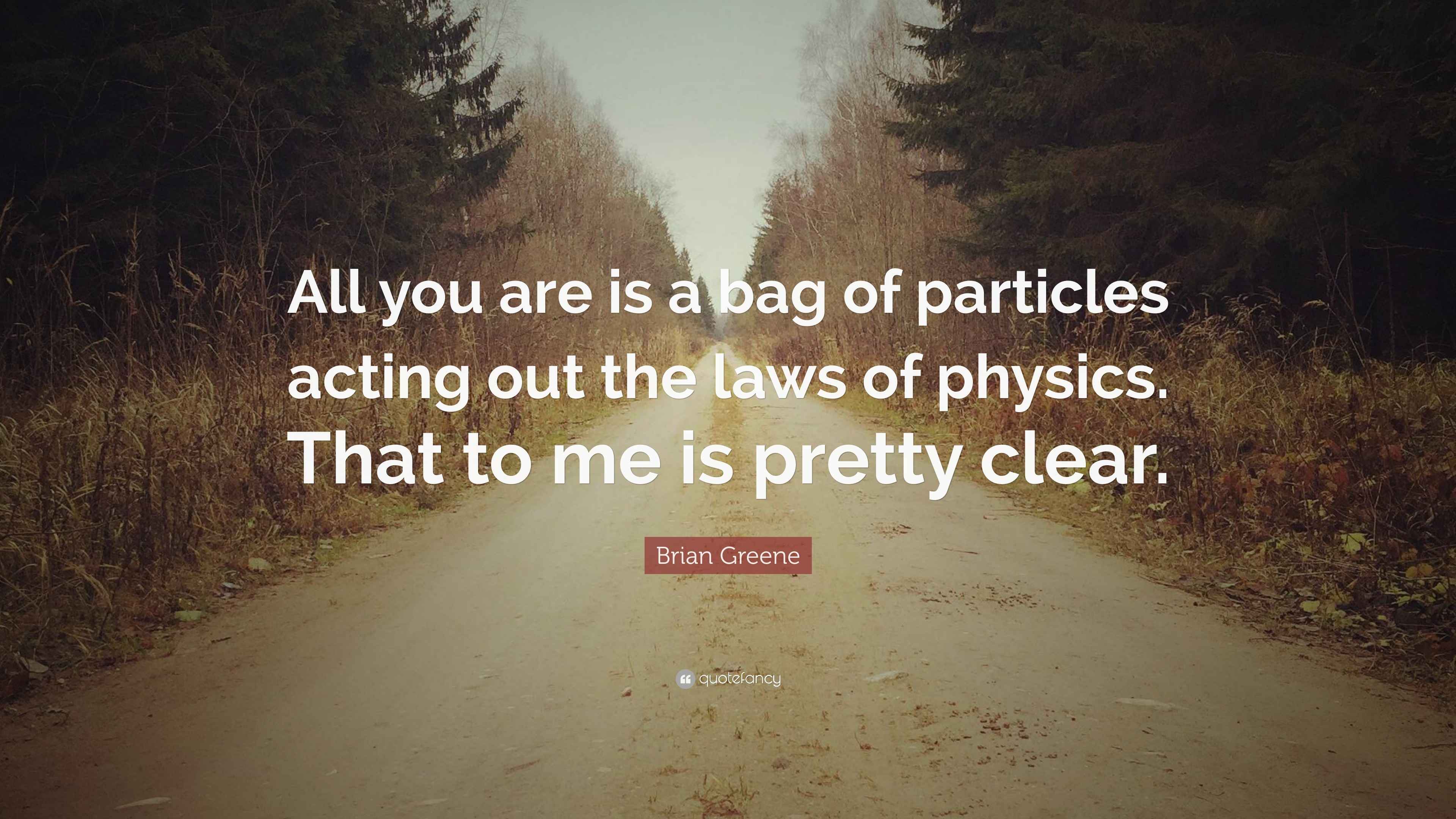 Brian Greene Quote: “All you are is a bag of particles acting out the ...