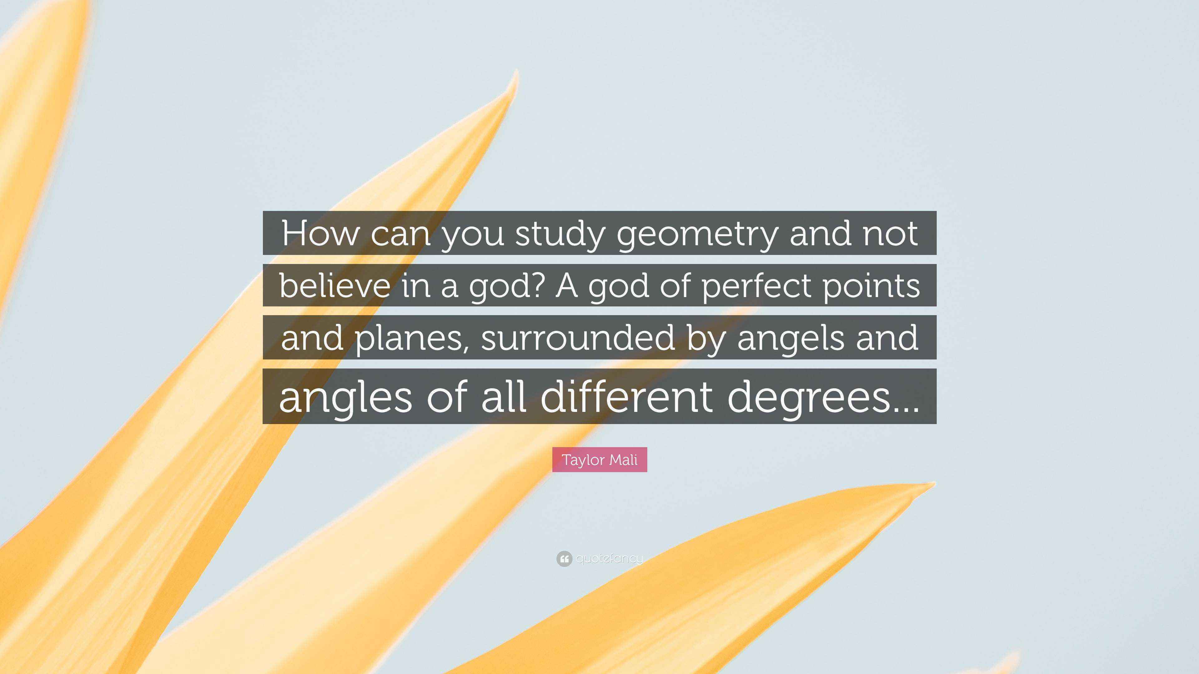 Taylor Mali Quote: “How can you study geometry and not believe in a god ...