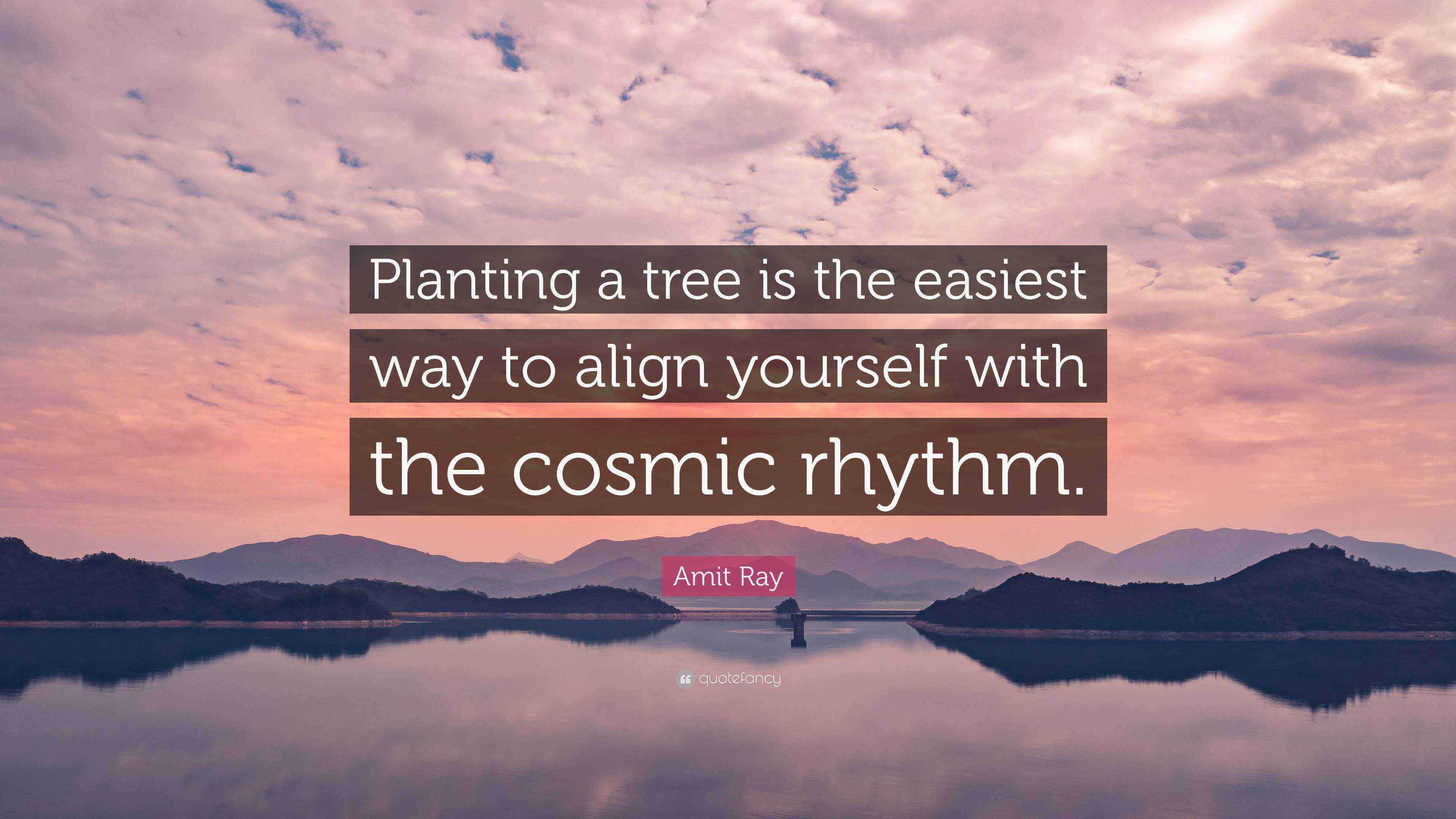 Amit Ray Quote: “Planting a tree is the easiest way to align yourself ...