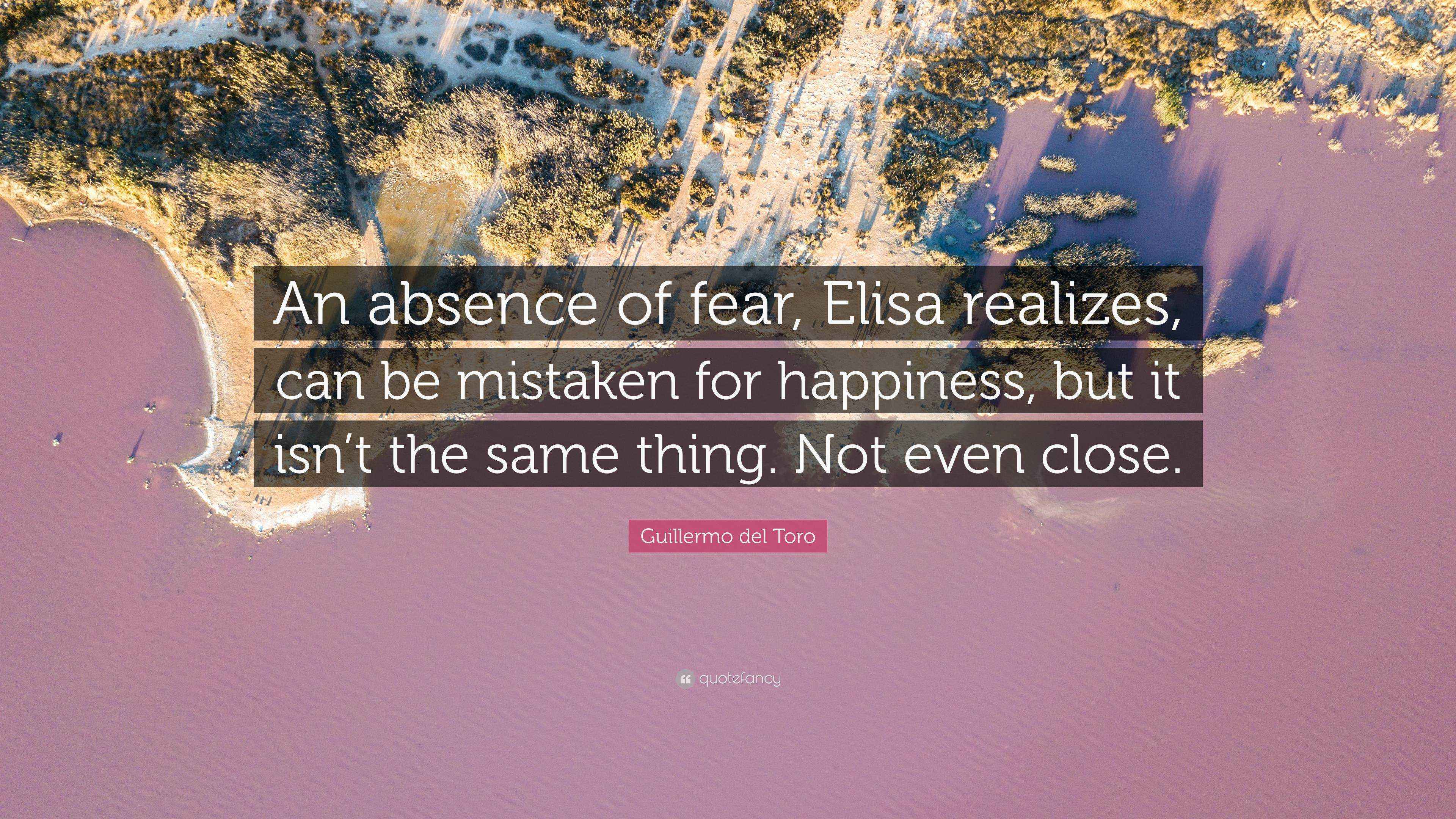 Guillermo del Toro Quote: “An absence of fear, Elisa realizes, can be ...