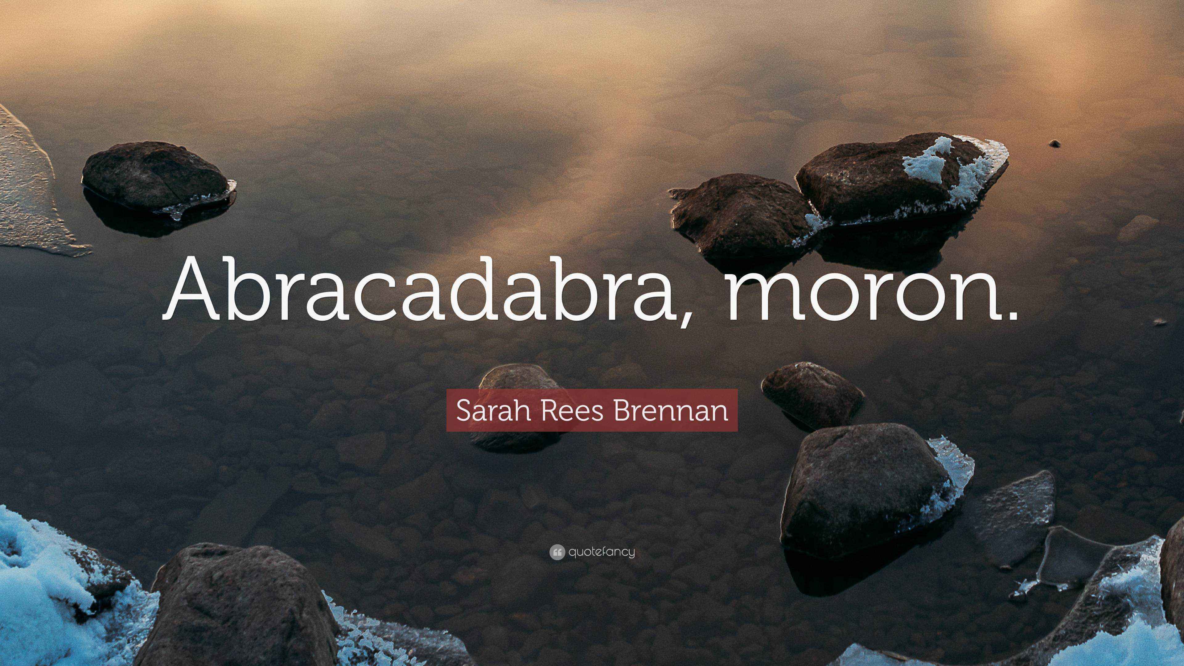 Sarah Rees Brennan Quote: “Abracadabra, moron.”