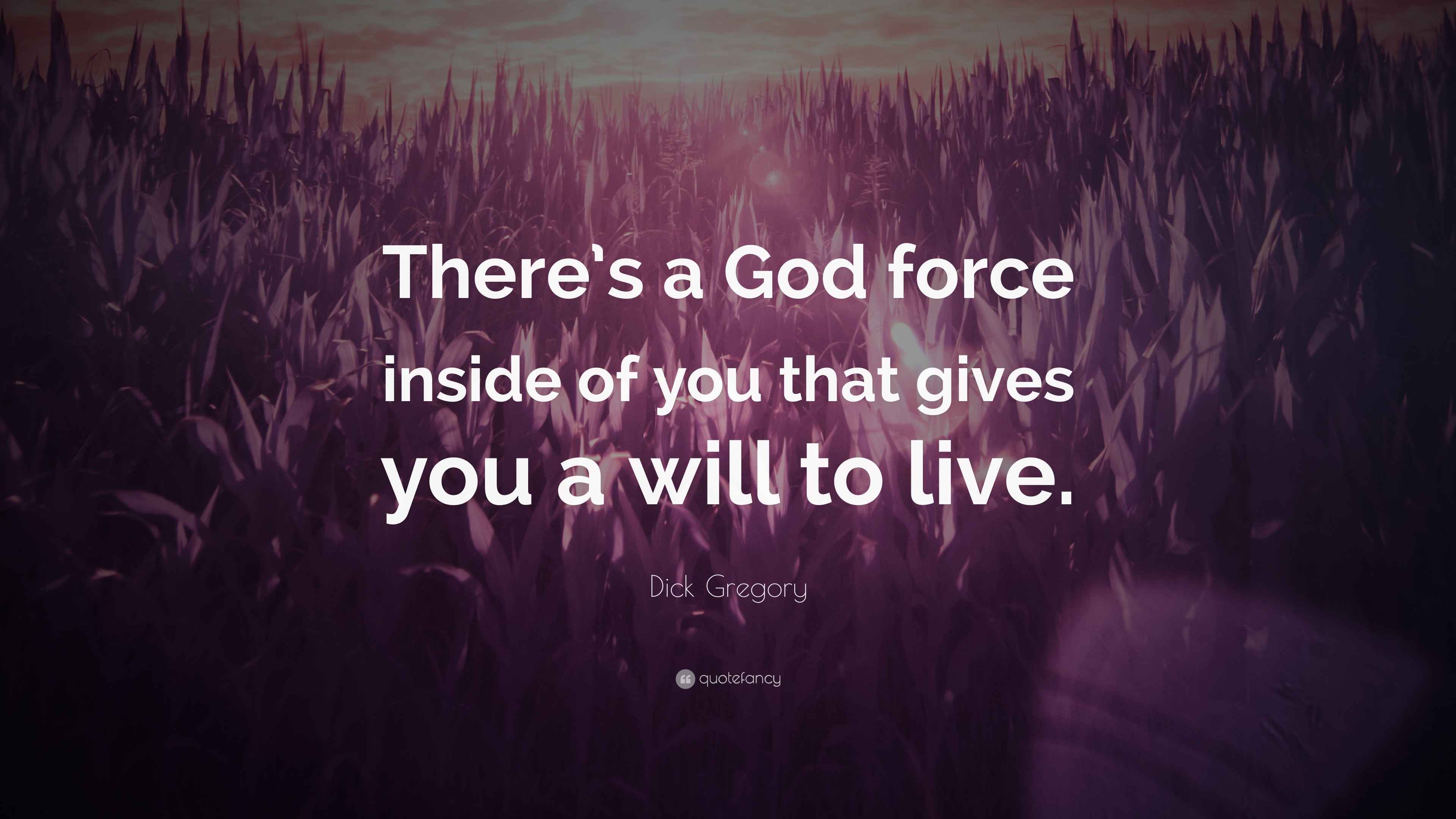 Dick Gregory Quote: “There’s a God force inside of you that gives you a ...