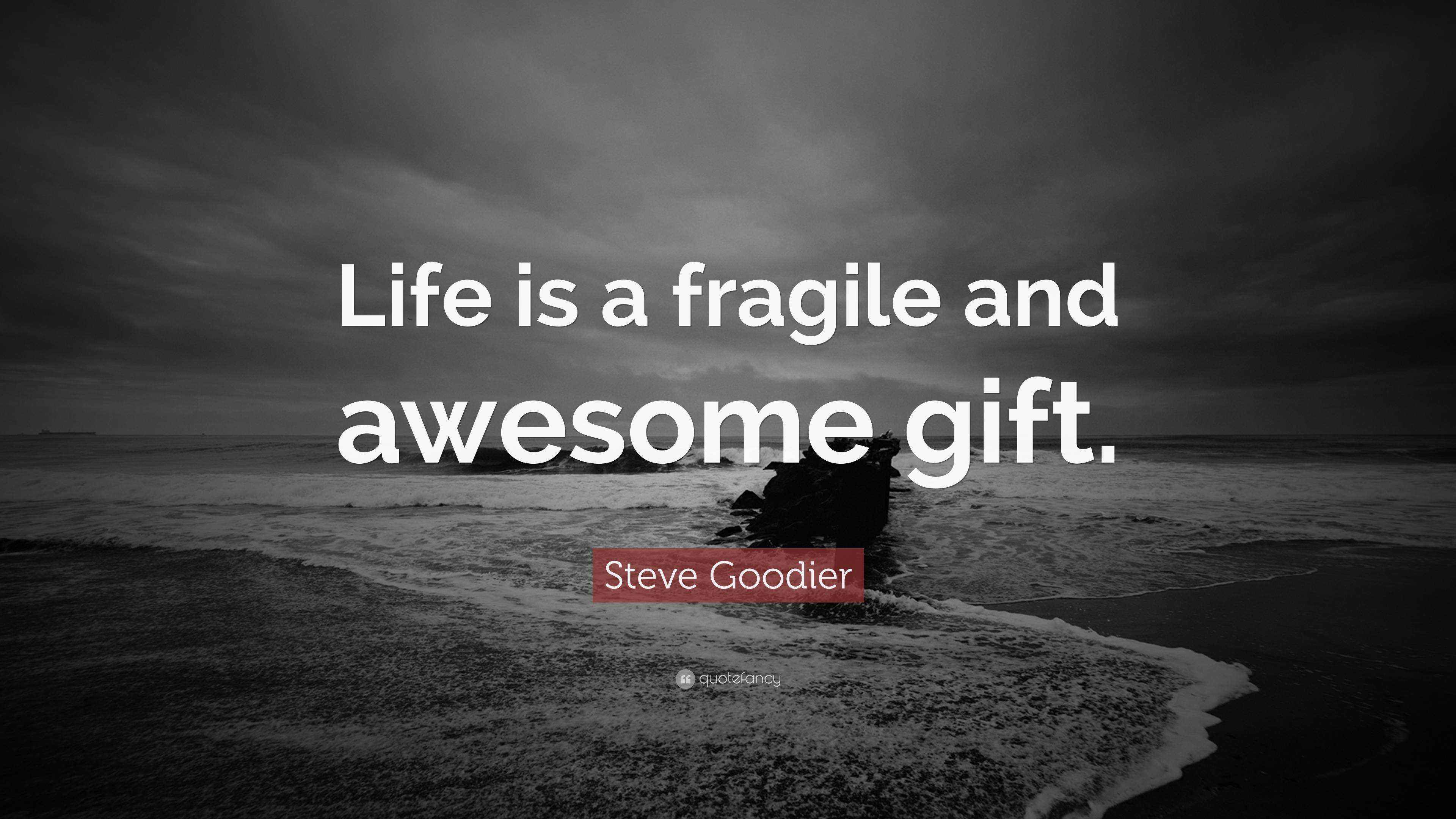 Steve Goodier Quote: “Life is a fragile and awesome gift.”