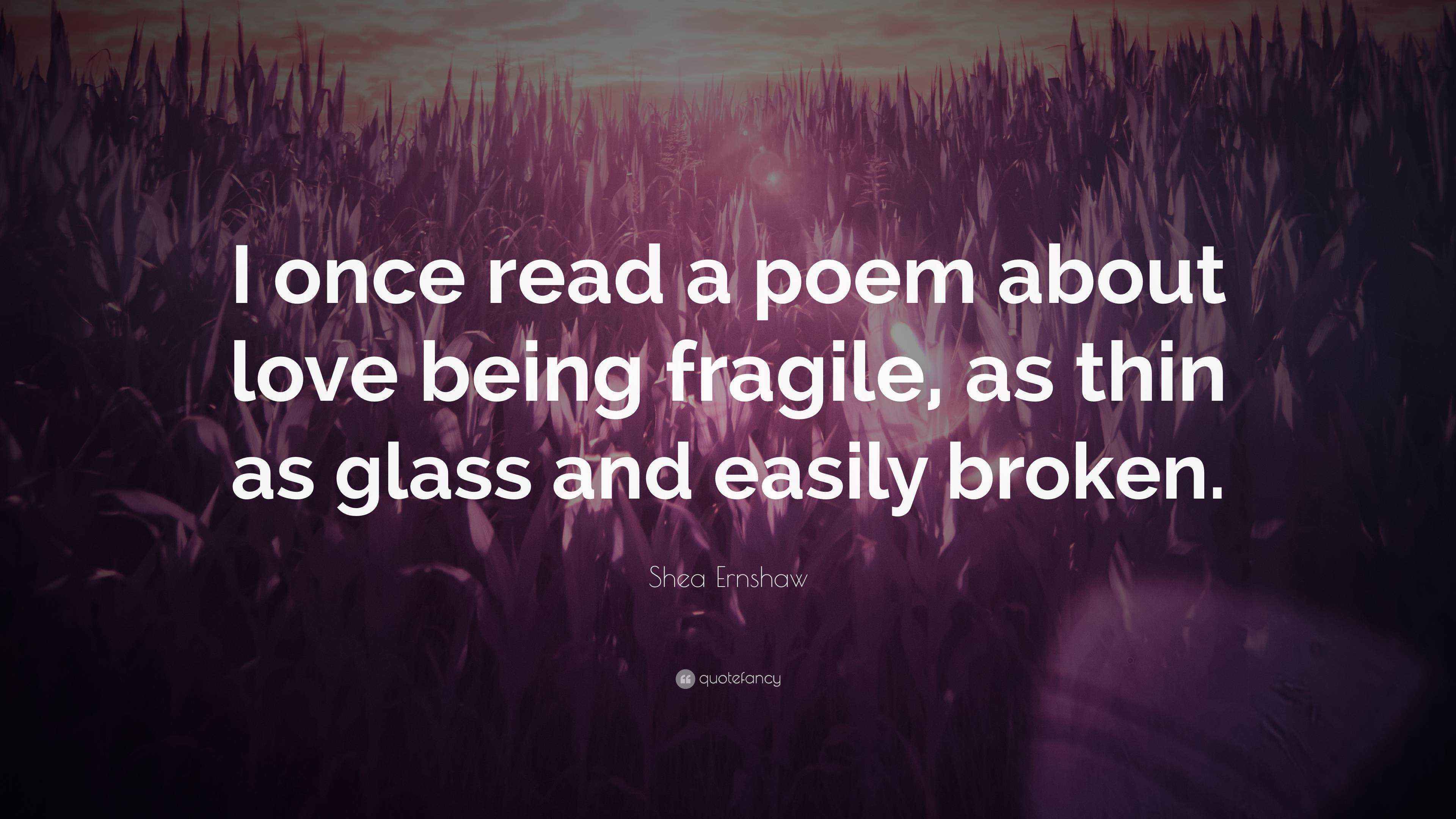 Shea Ernshaw Quote: “I once read a poem about love being fragile, as ...