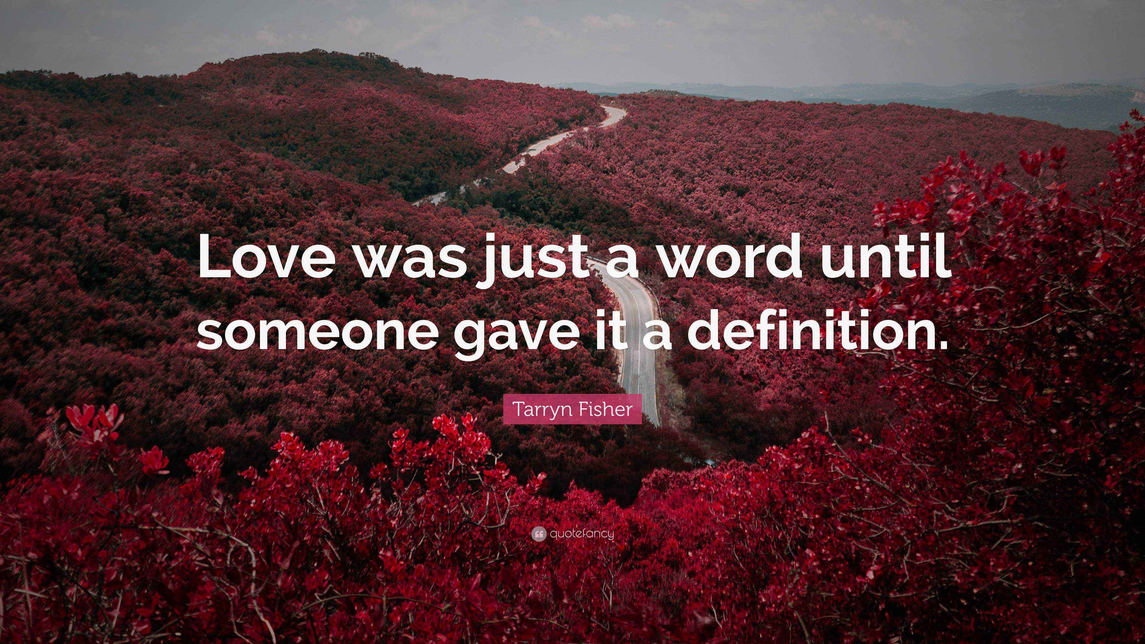 Tarryn Fisher Quote: “Love was just a word until someone gave it a ...