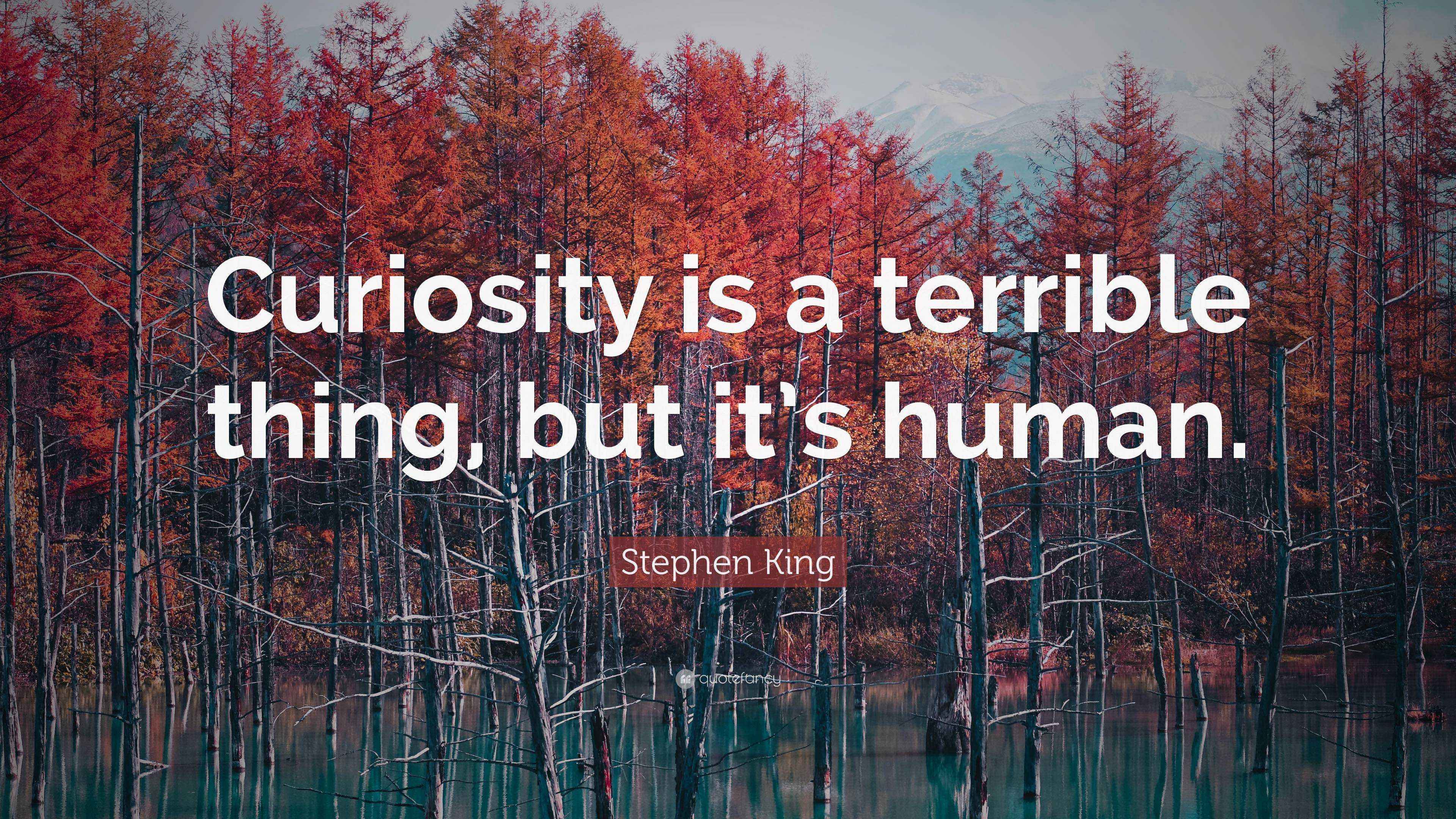 Stephen King Quote: “Curiosity is a terrible thing, but it’s human.”