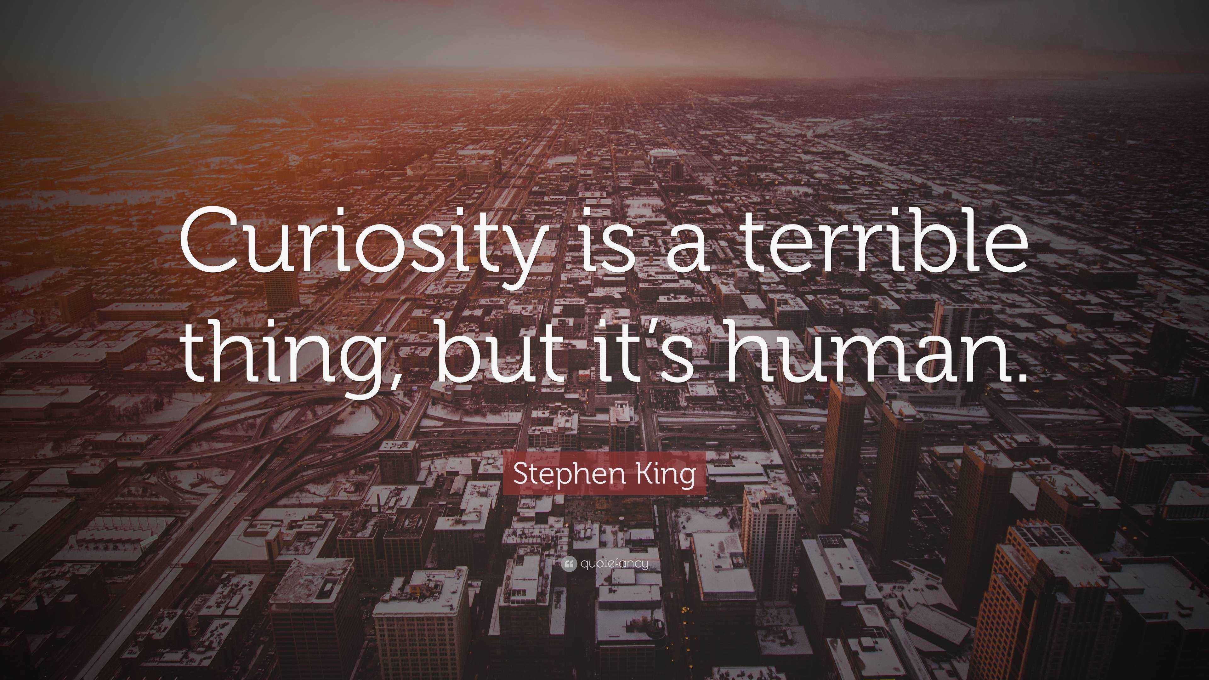 Stephen King Quote: “Curiosity is a terrible thing, but it’s human.”