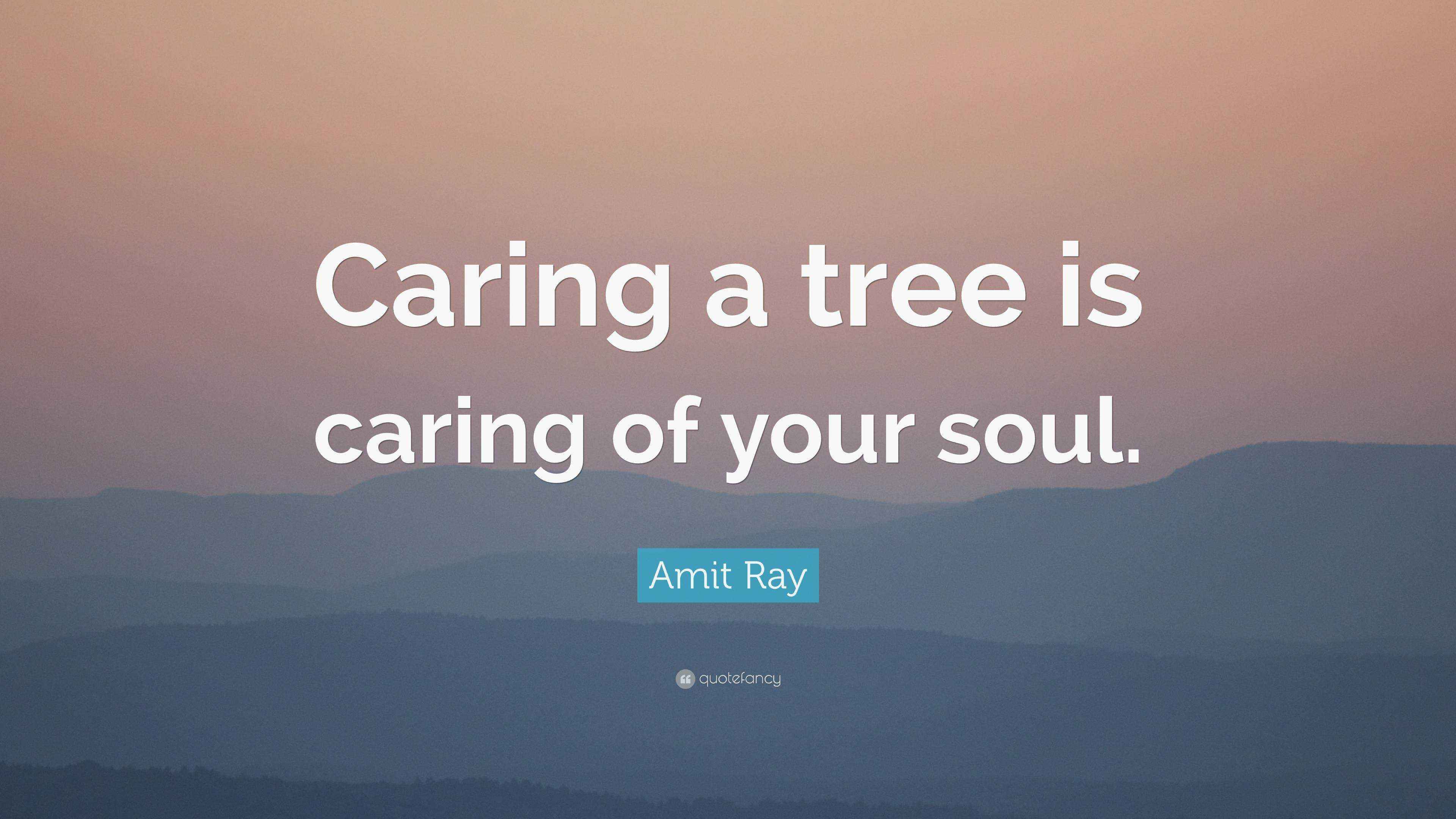 Amit Ray Quote: “Caring a tree is caring of your soul.”
