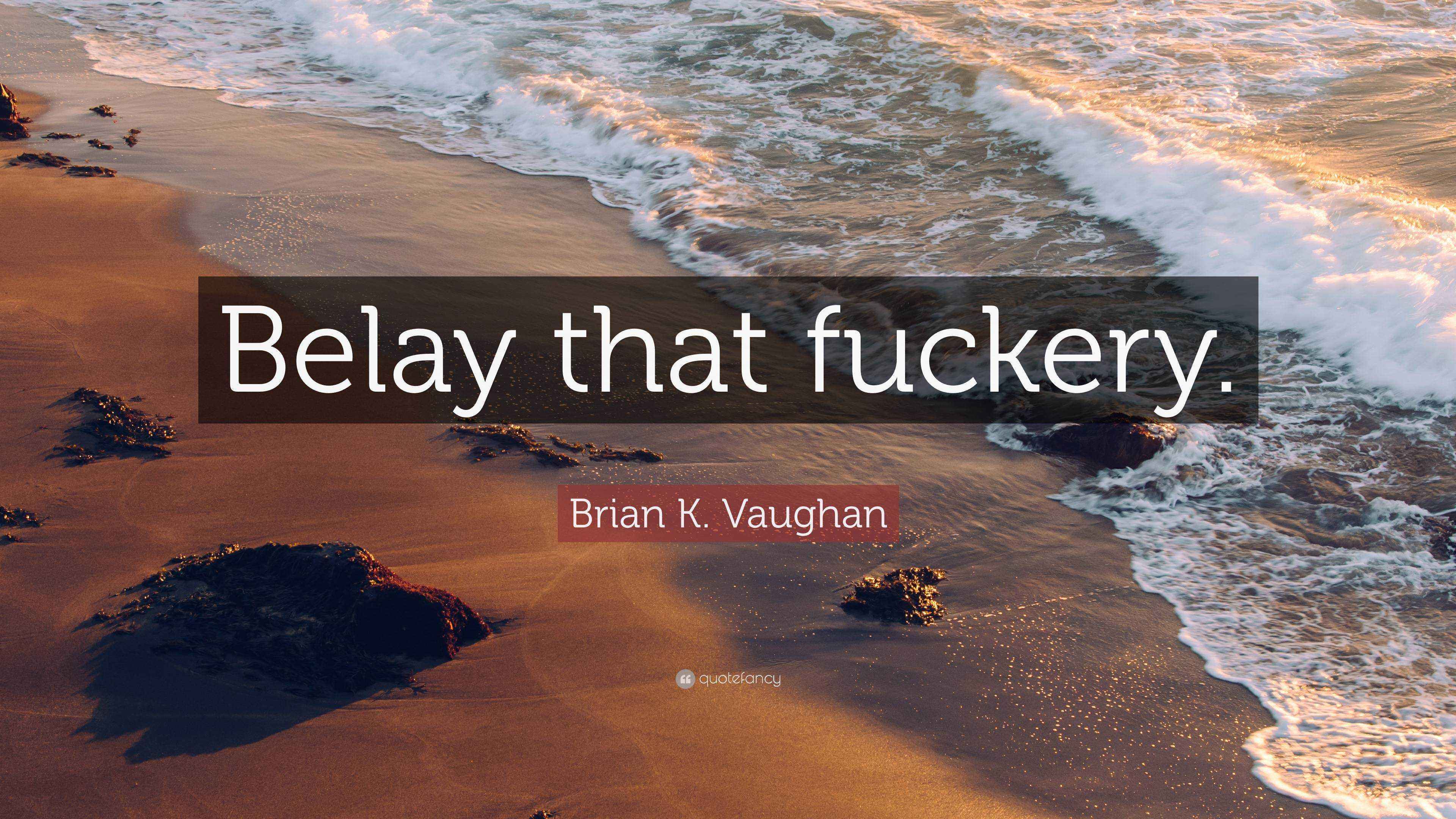 Brian K. Vaughan Quote: “Belay that fuckery.”