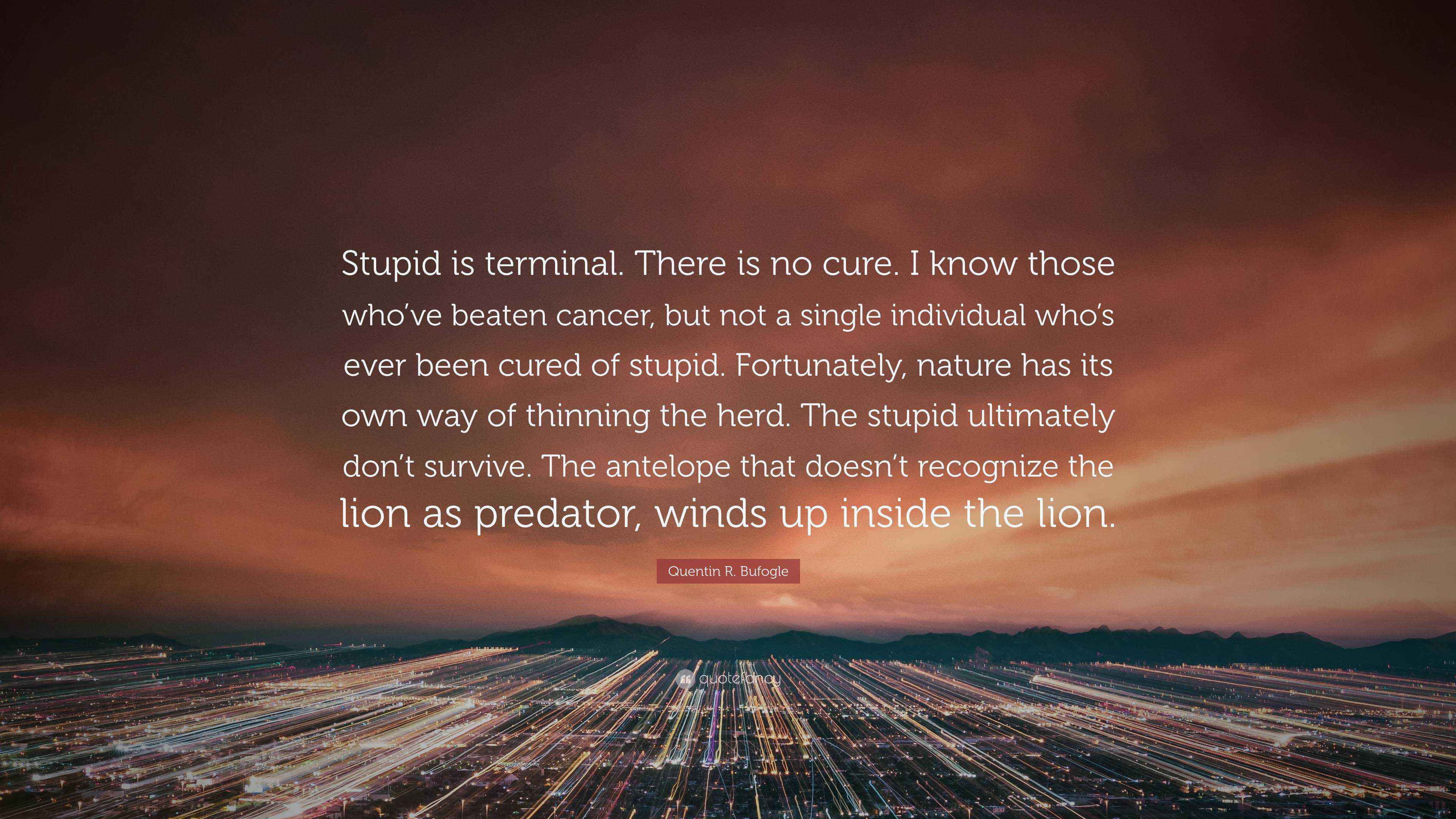 Quentin R. Bufogle Quote: “Stupid is terminal. There is no cure. I know ...