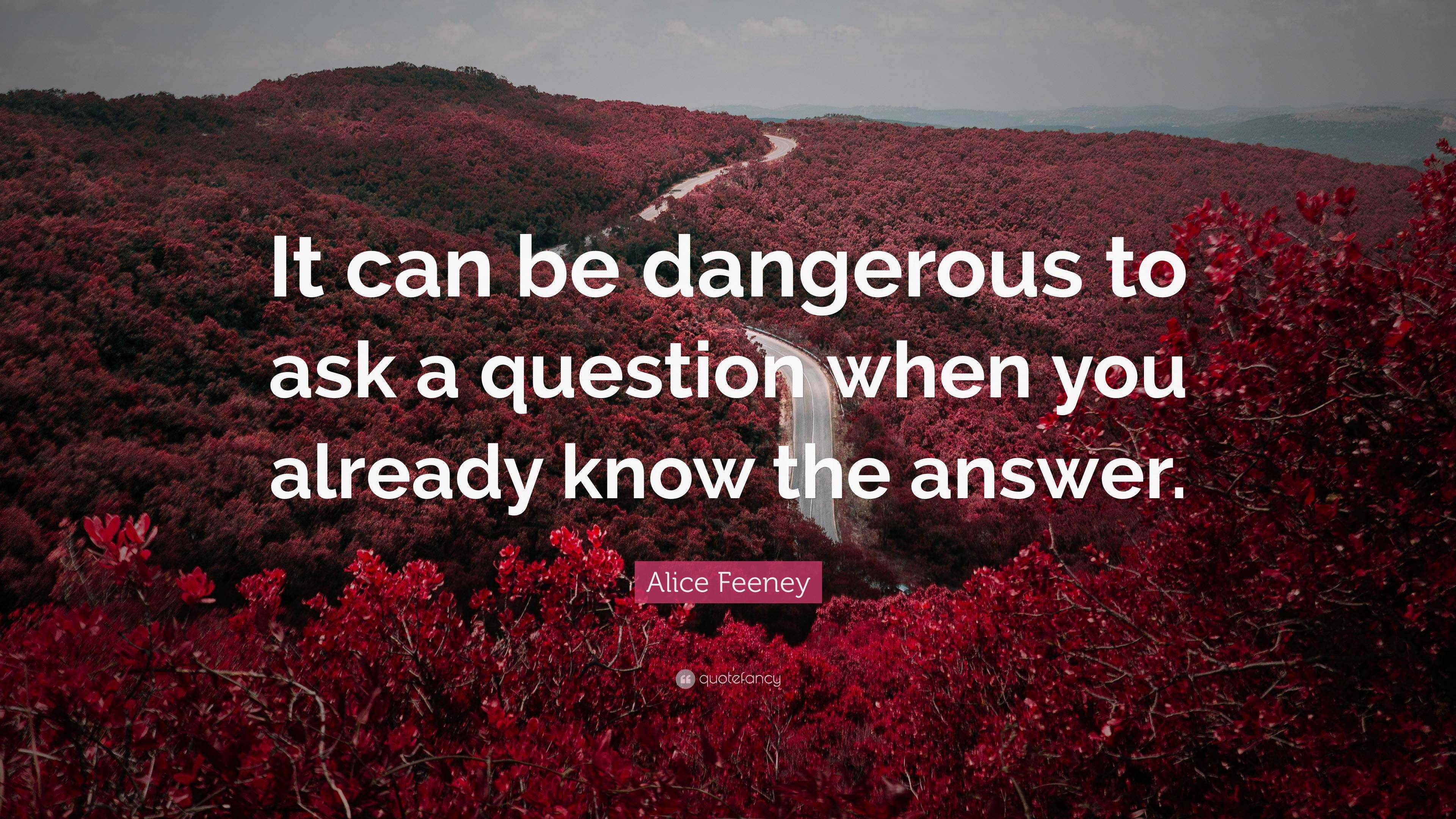 Alice Feeney Quote: “It can be dangerous to ask a question when you already know the answer.”