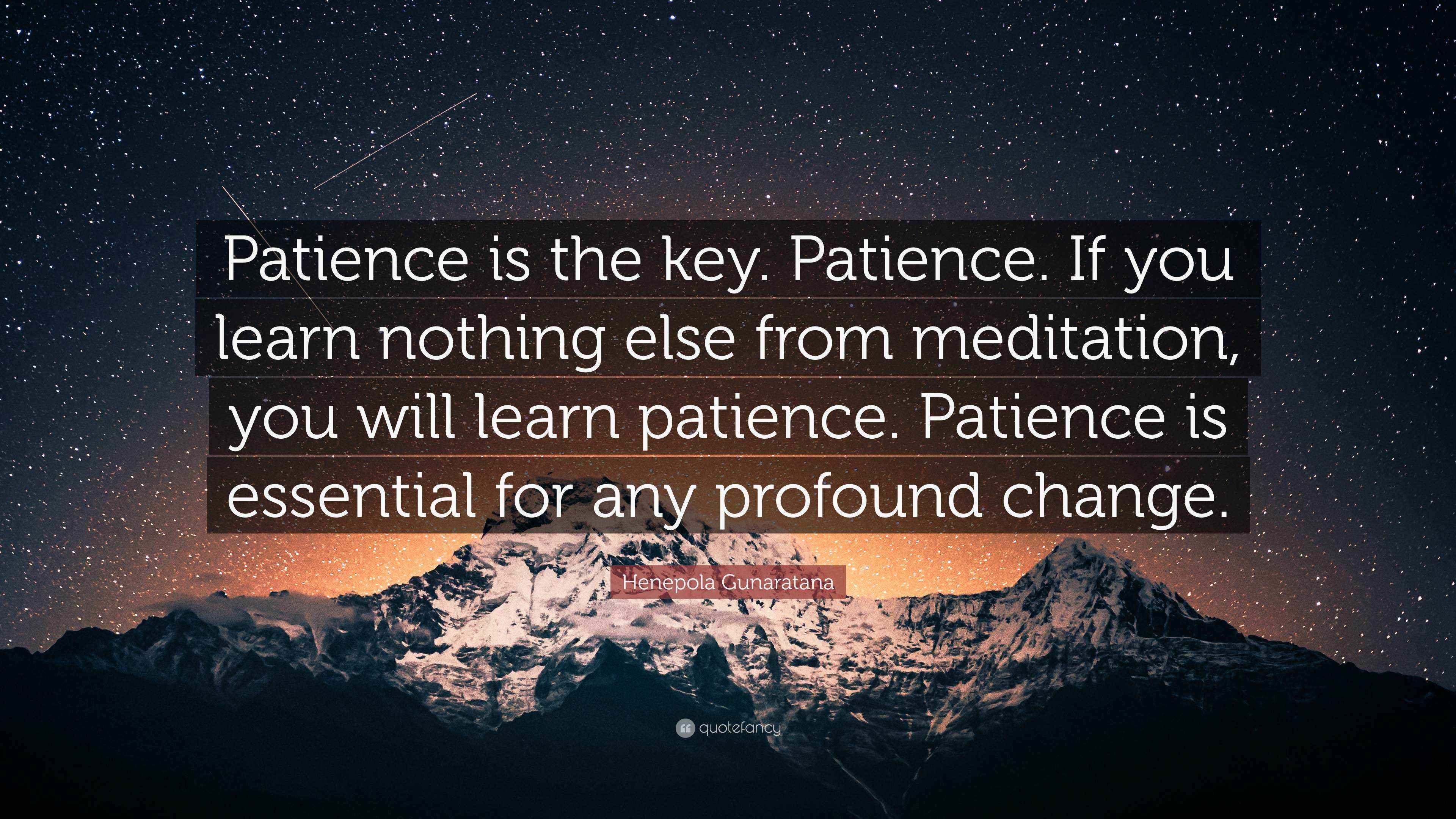 Henepola Gunaratana Quote: “Patience is the key. Patience. If you learn ...
