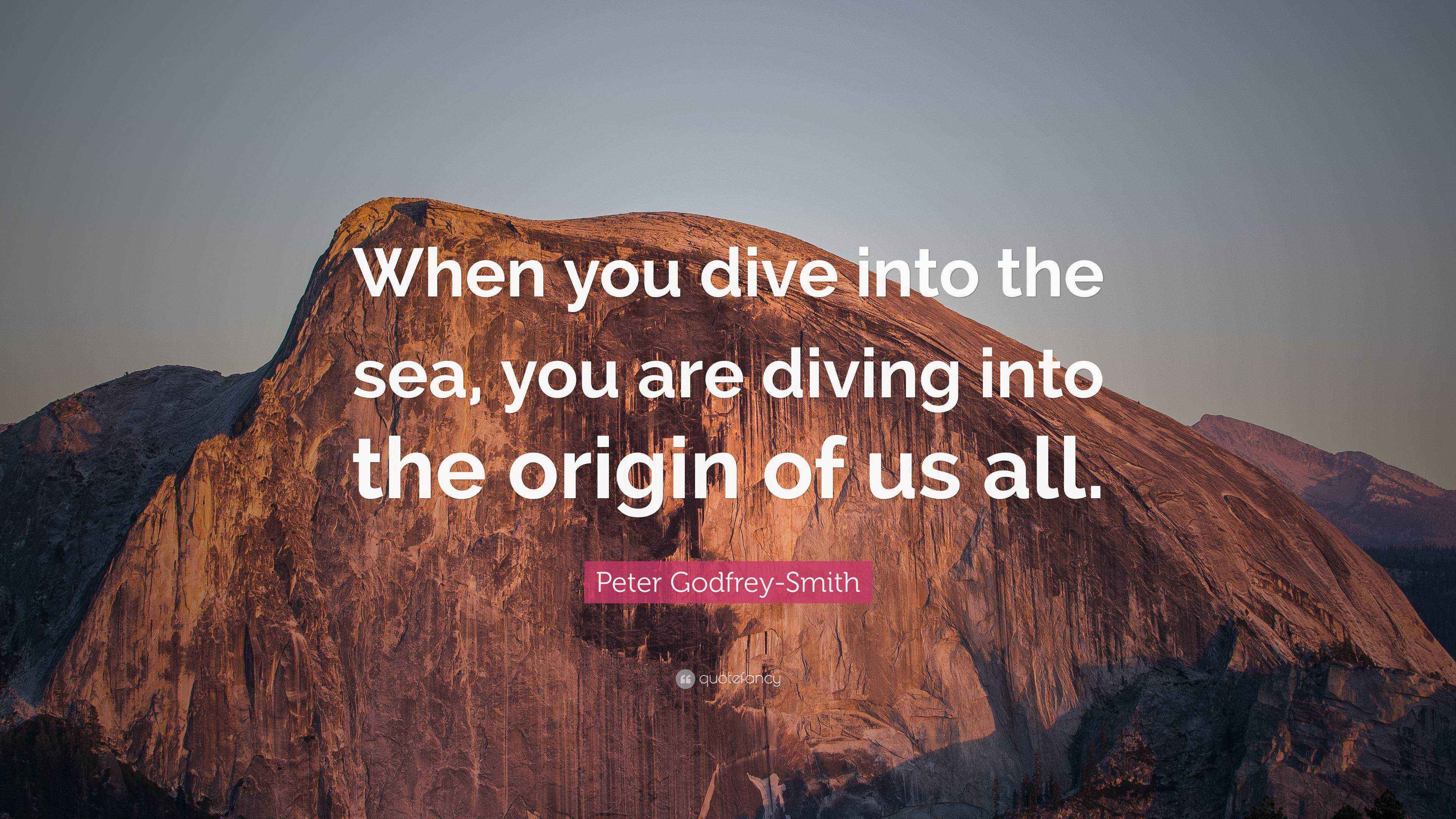 Peter Godfrey-Smith Quote: “When you dive into the sea, you are diving ...