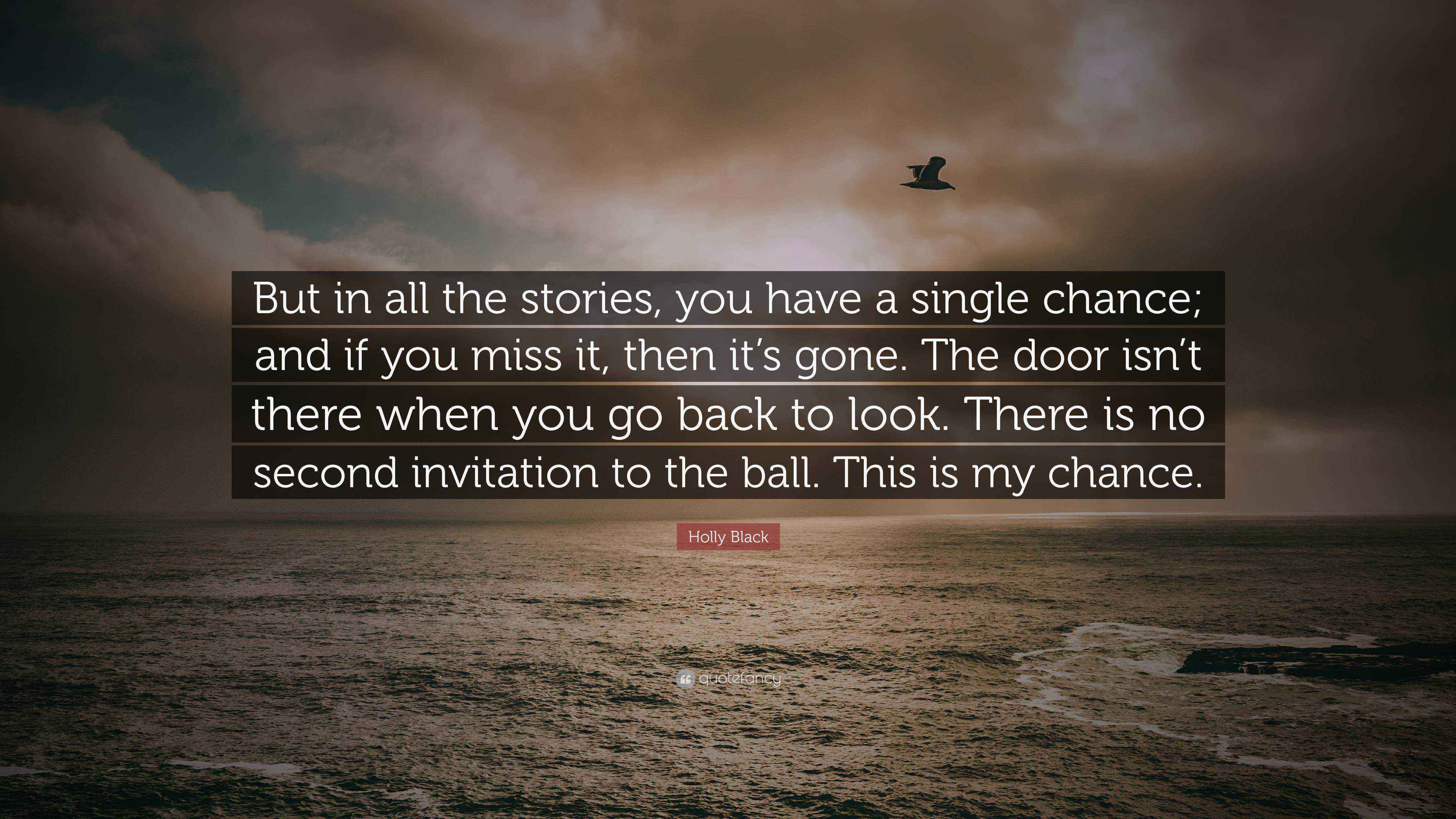 Holly Black Quote: “But in all the stories, you have a single chance ...